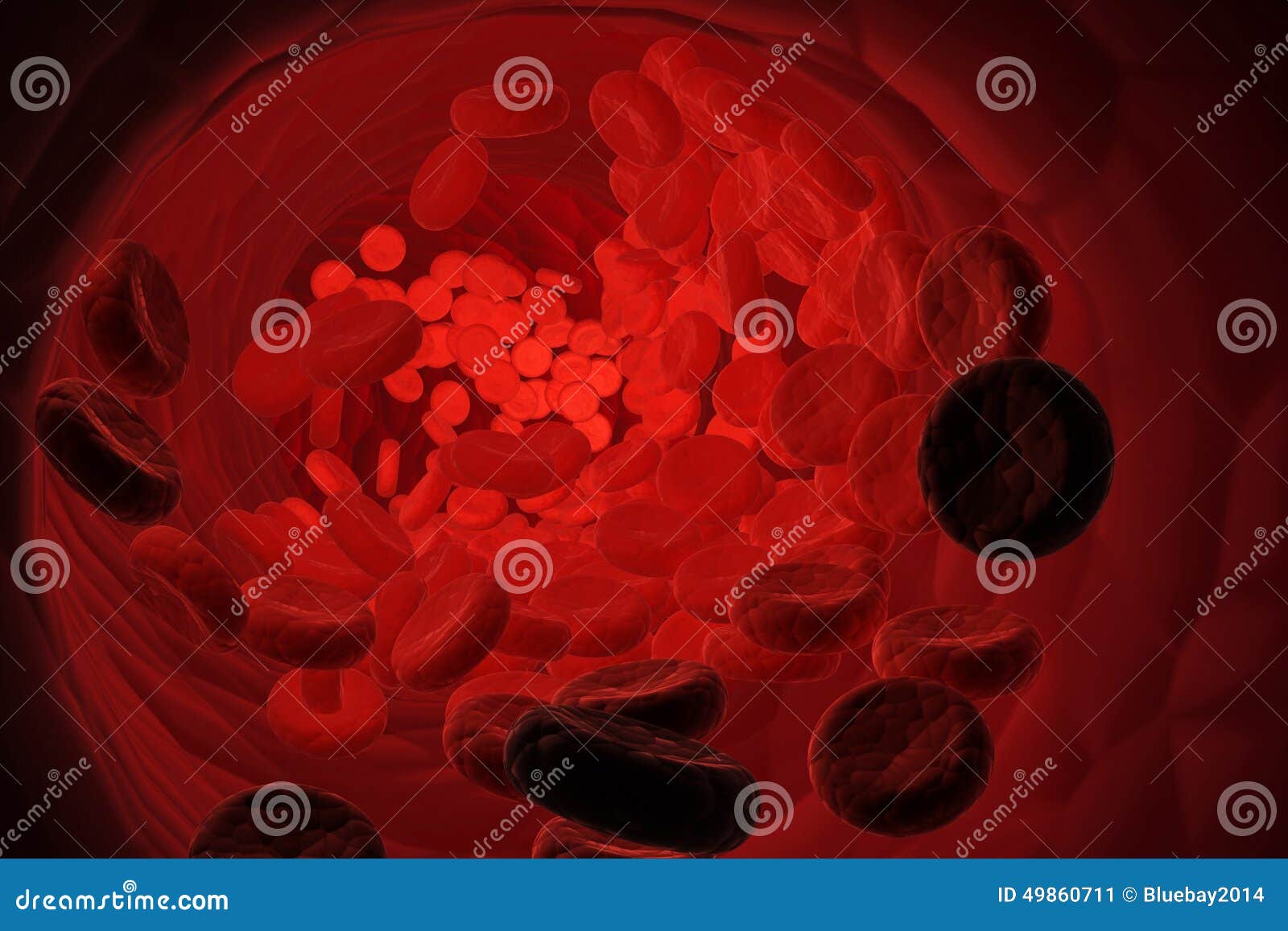 Menschliche Blutzellen stock abbildung. Illustration von zellen - 49860711