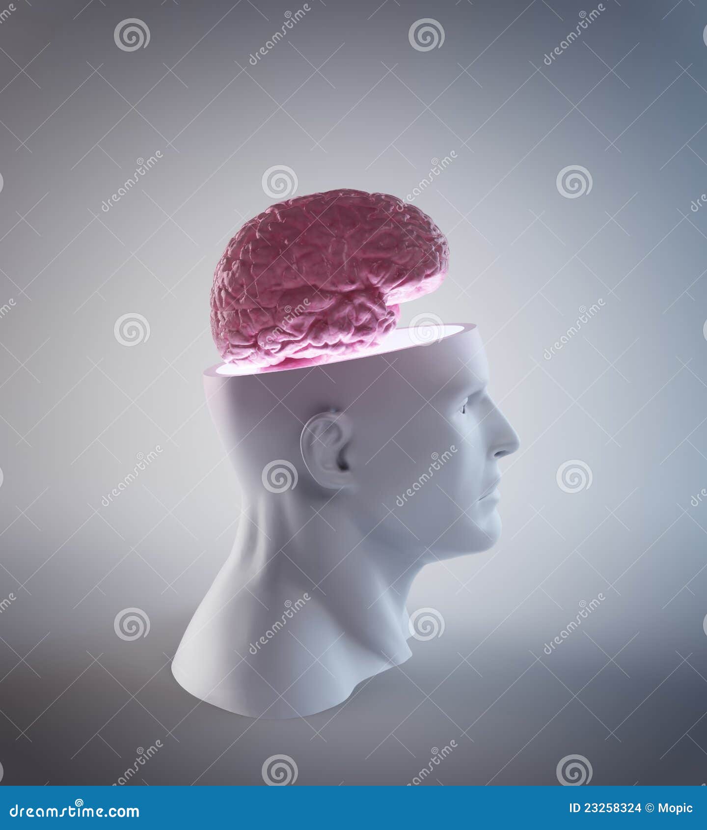 Menschliche Intelligenz stock abbildung. Illustration von medizinisch ...