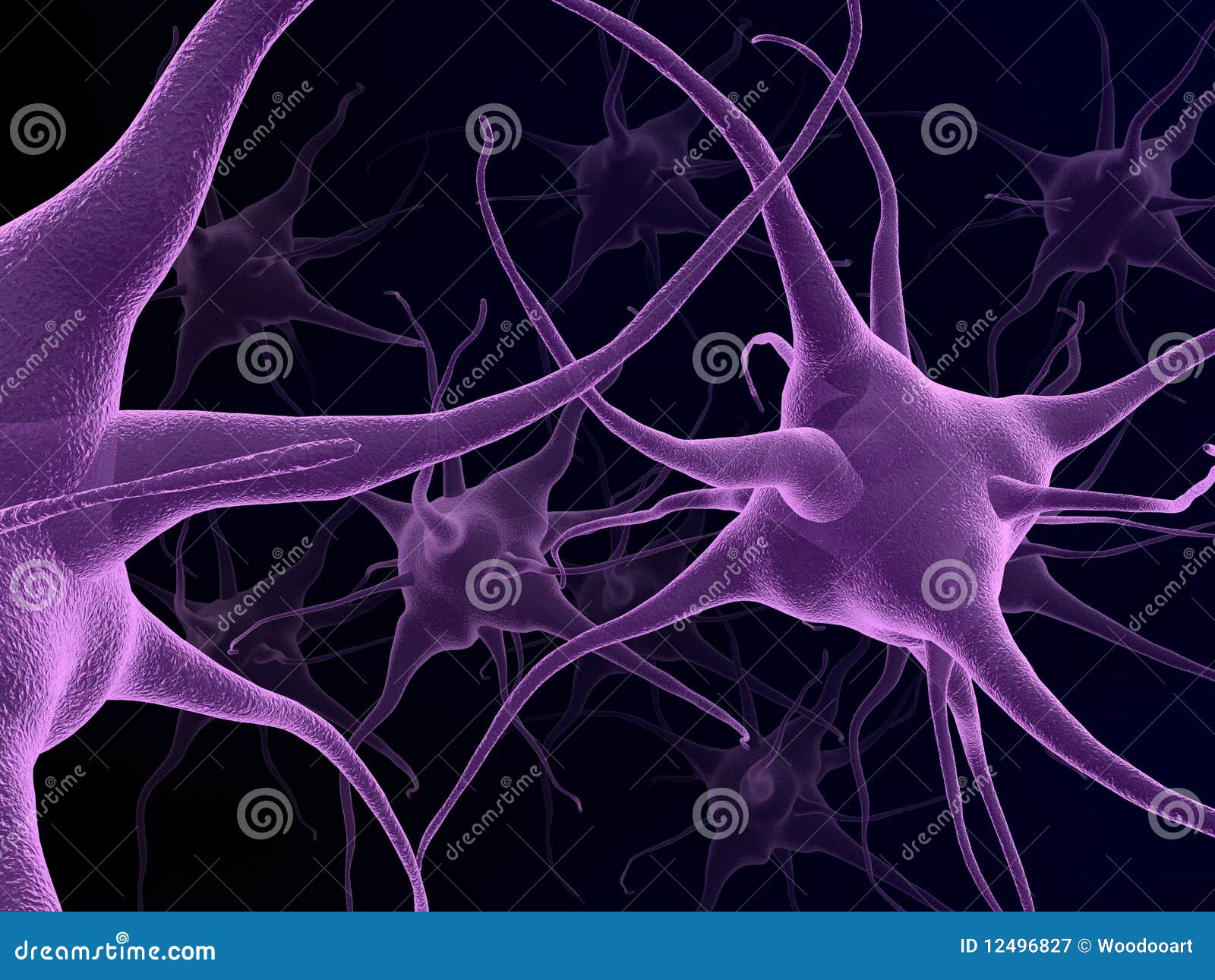 Menschliche Neuronen stock abbildung. Illustration von synapse - 12496827