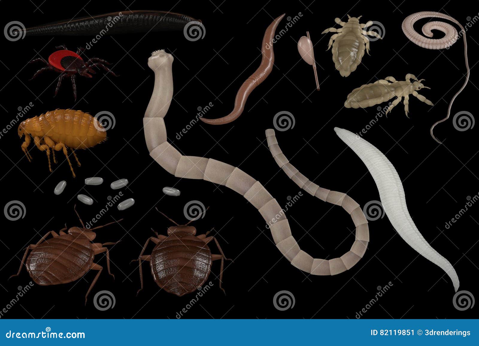 Menschliche Parasiten stock abbildung. Illustration von realistisch ...