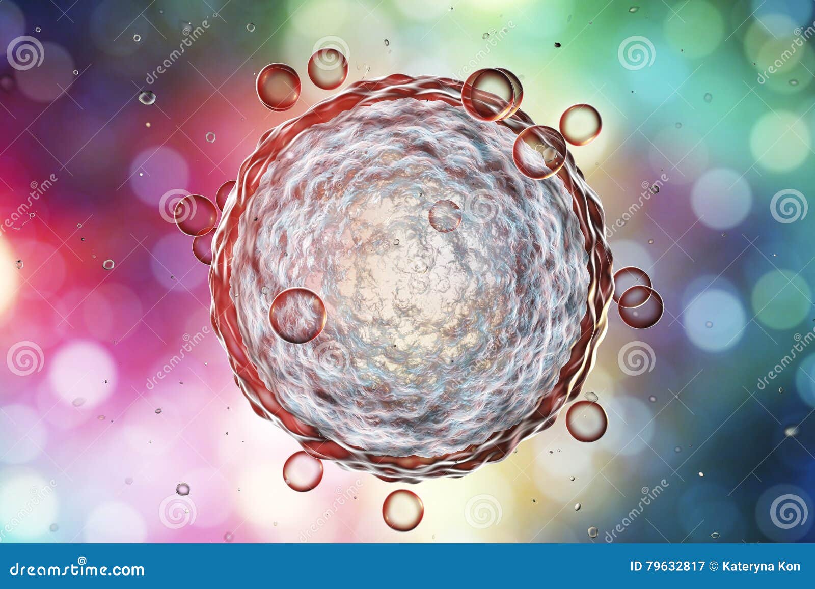 Menschliche Weibliche Eizelle Stock Abbildung - Illustration von ...