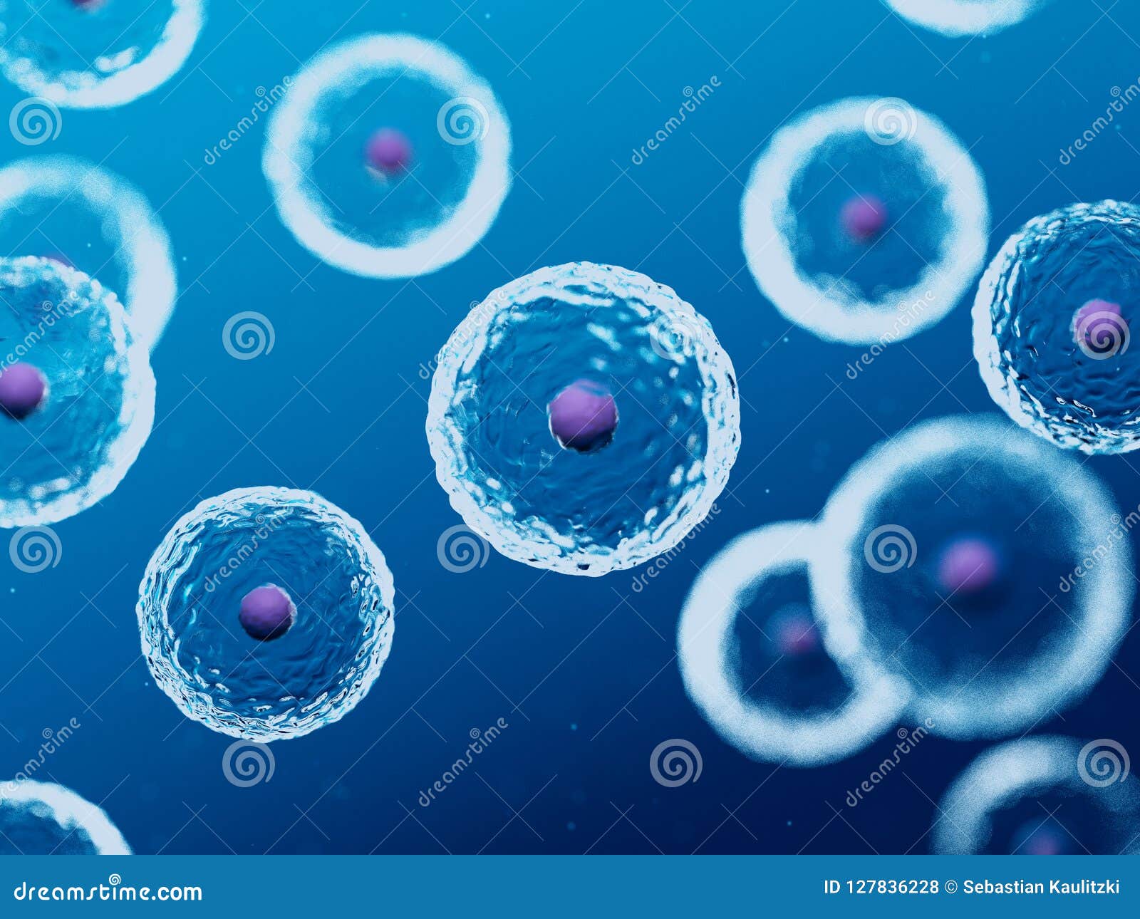Menschliche Zellen stock abbildung. Illustration von menschlich - 127836228