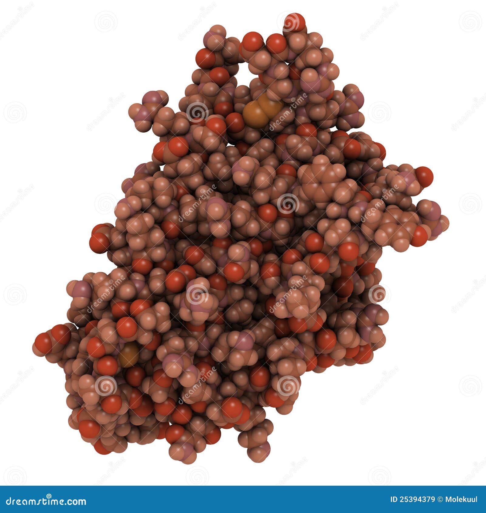 Menschlicher Erythropoietin (EPO) Stock Abbildung - Illustration von ...