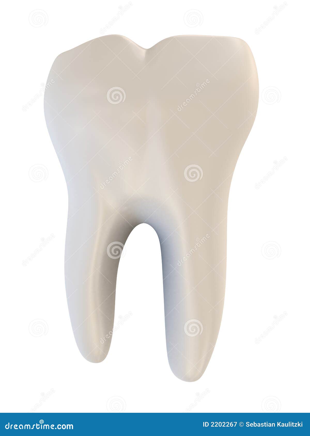 Menschlicher Zahn Lizenzfreie Stockfotografie - Bild: 2202267