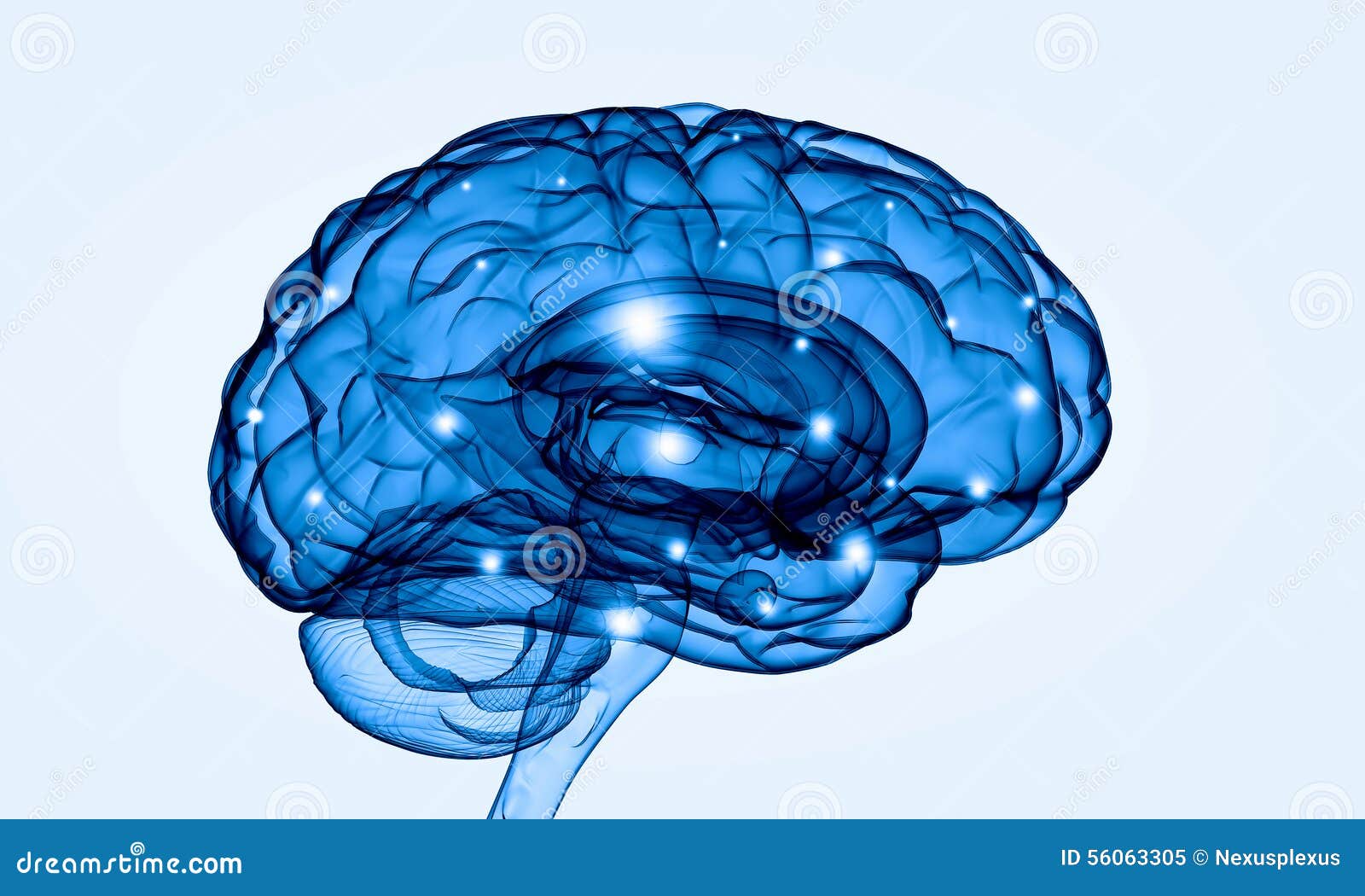 Menschliches Gehirn stock abbildung. Illustration von diagnose - 56063305