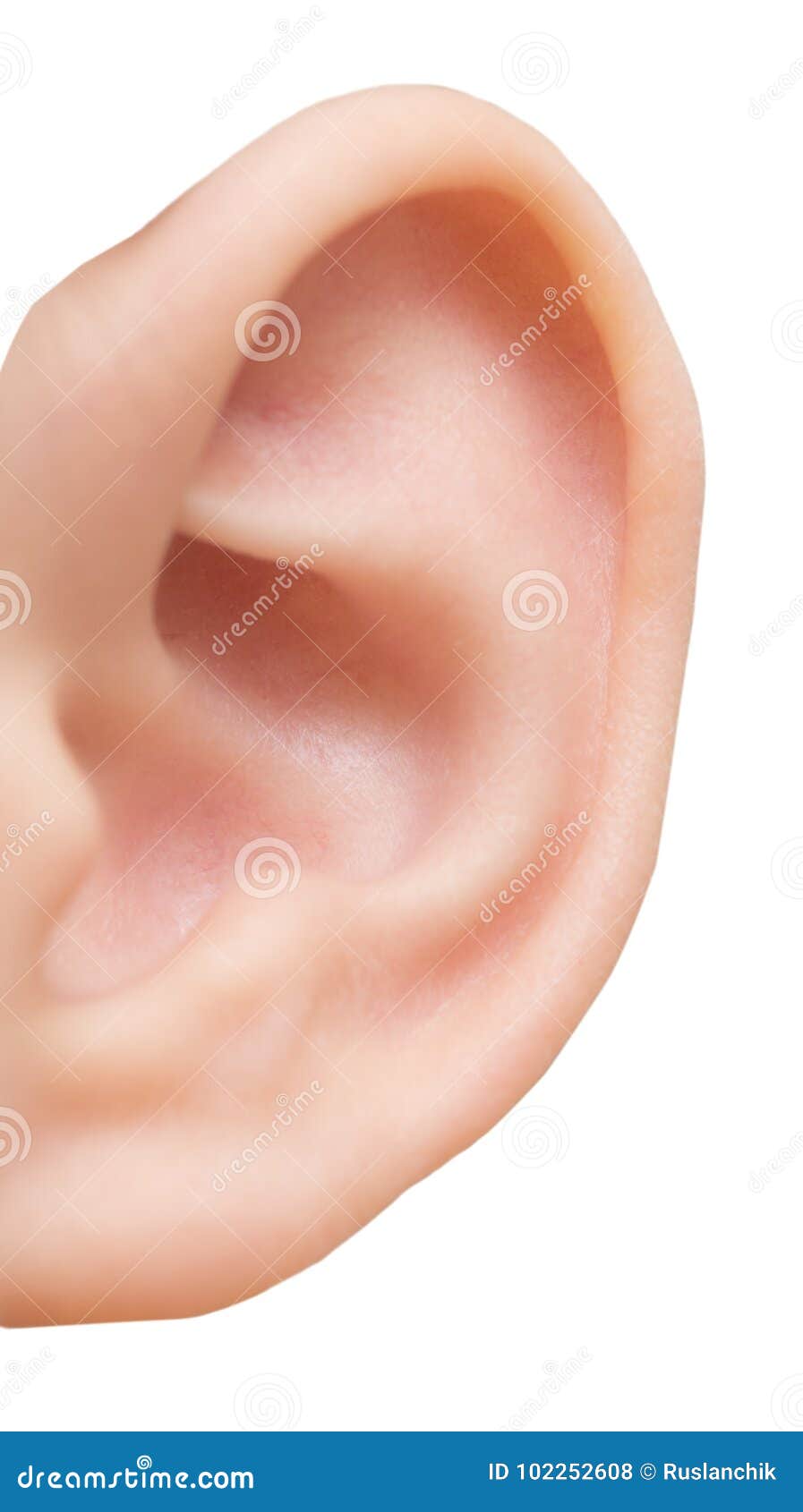 Menschliches Ohr stockfoto. Bild von person, kommunikation - 102252608