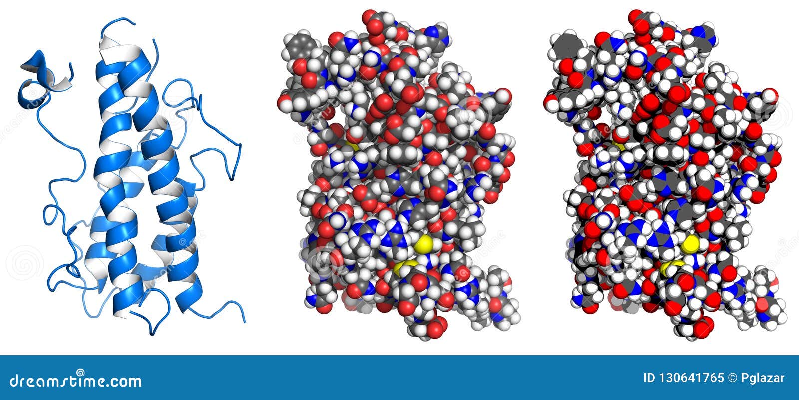 Menselijk de Groeihormoon stock illustratie. Illustration of hormoon ...