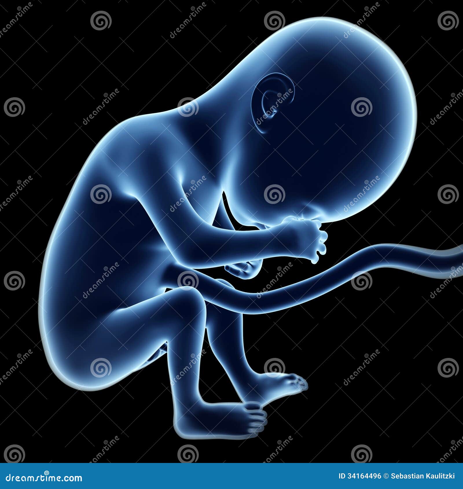 Menselijk foetus stock illustratie. Illustration of maand - 34164496