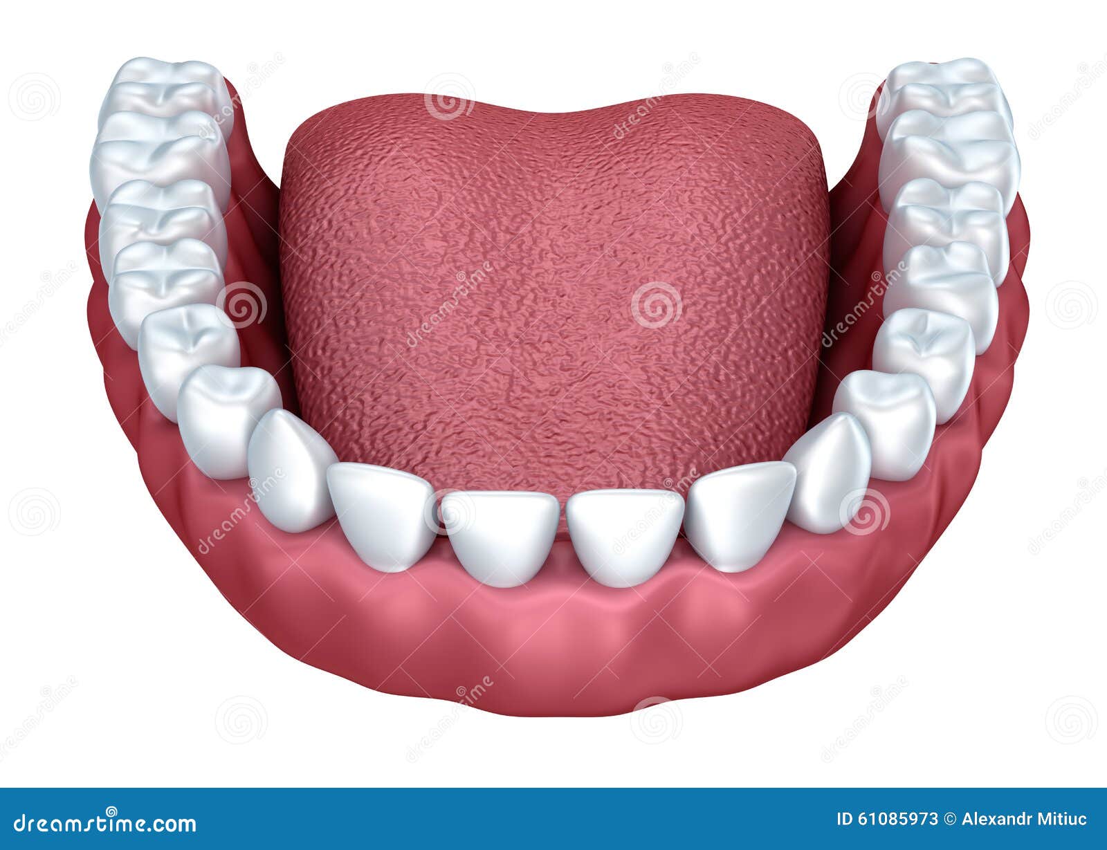 Menselijk gebit 3D beeld stock illustratie. Illustration of anatomie ...