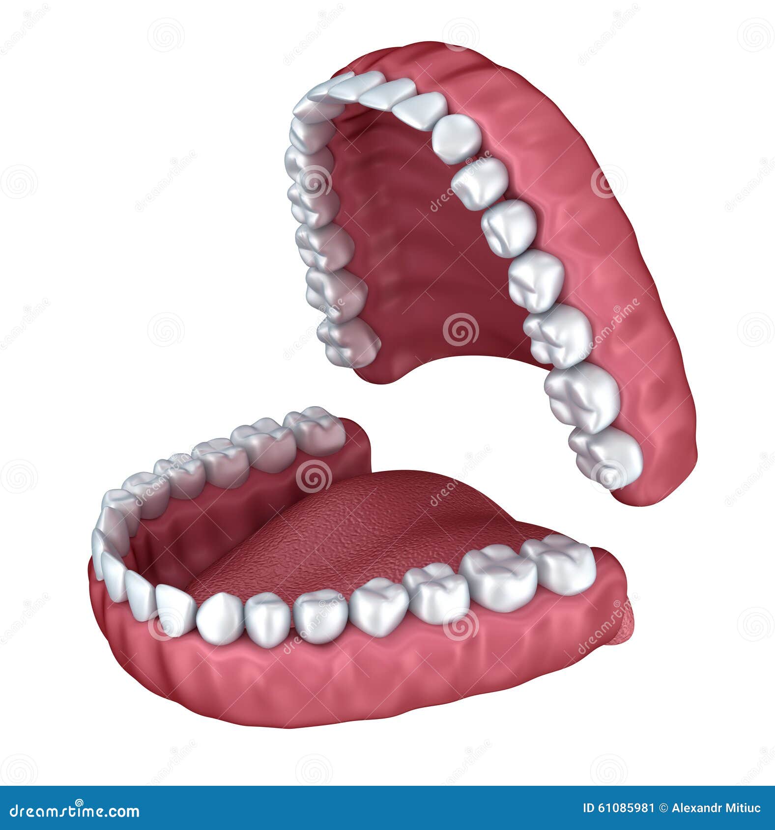 Menselijk gebit 3D beeld stock illustratie. Illustration of kies - 61085981