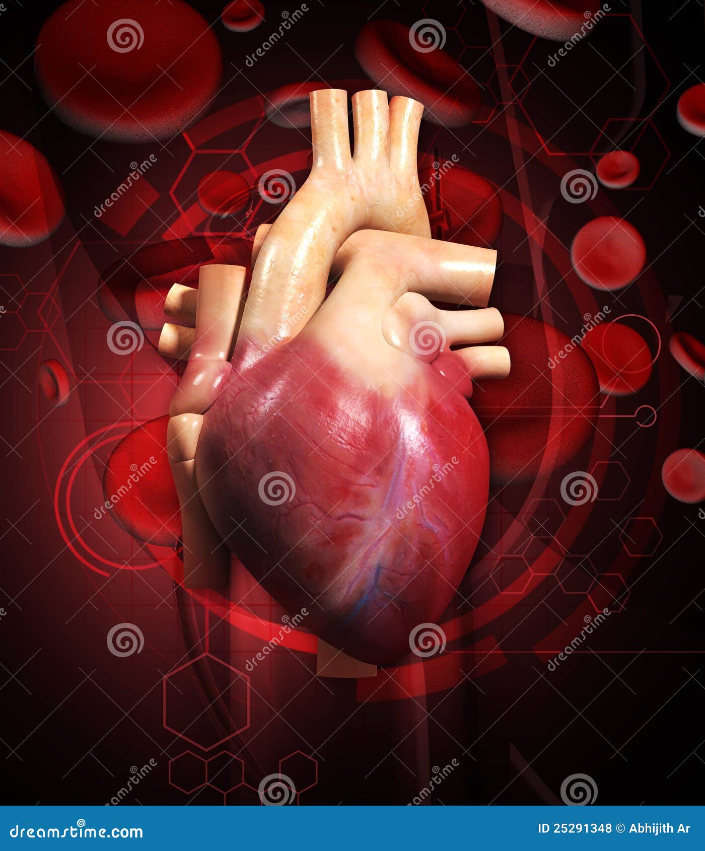 Menselijk hart stock illustratie. Illustration of tredmolen - 25291348