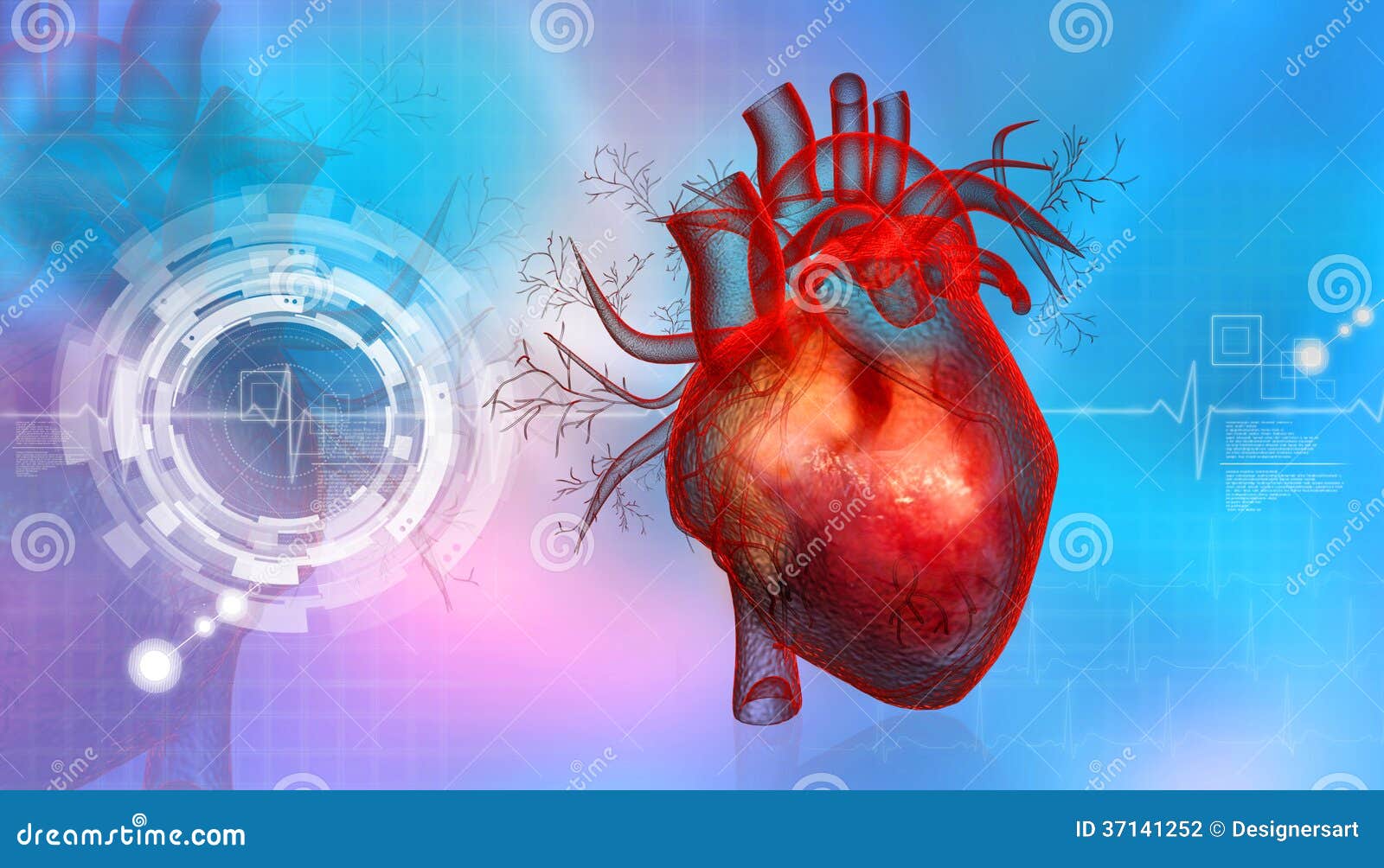 Menselijk hart stock illustratie. Illustration of lichaam - 37141252