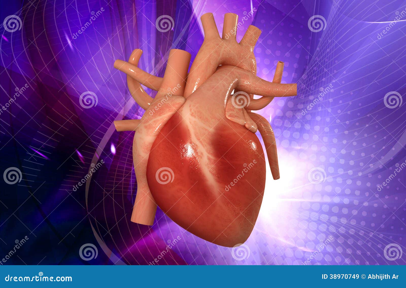 Menselijk hart stock illustratie. Illustration of geneeskunde - 38970749