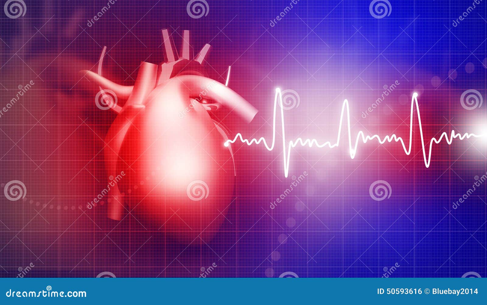 Menselijk hart stock illustratie. Illustration of anatomie - 50593616
