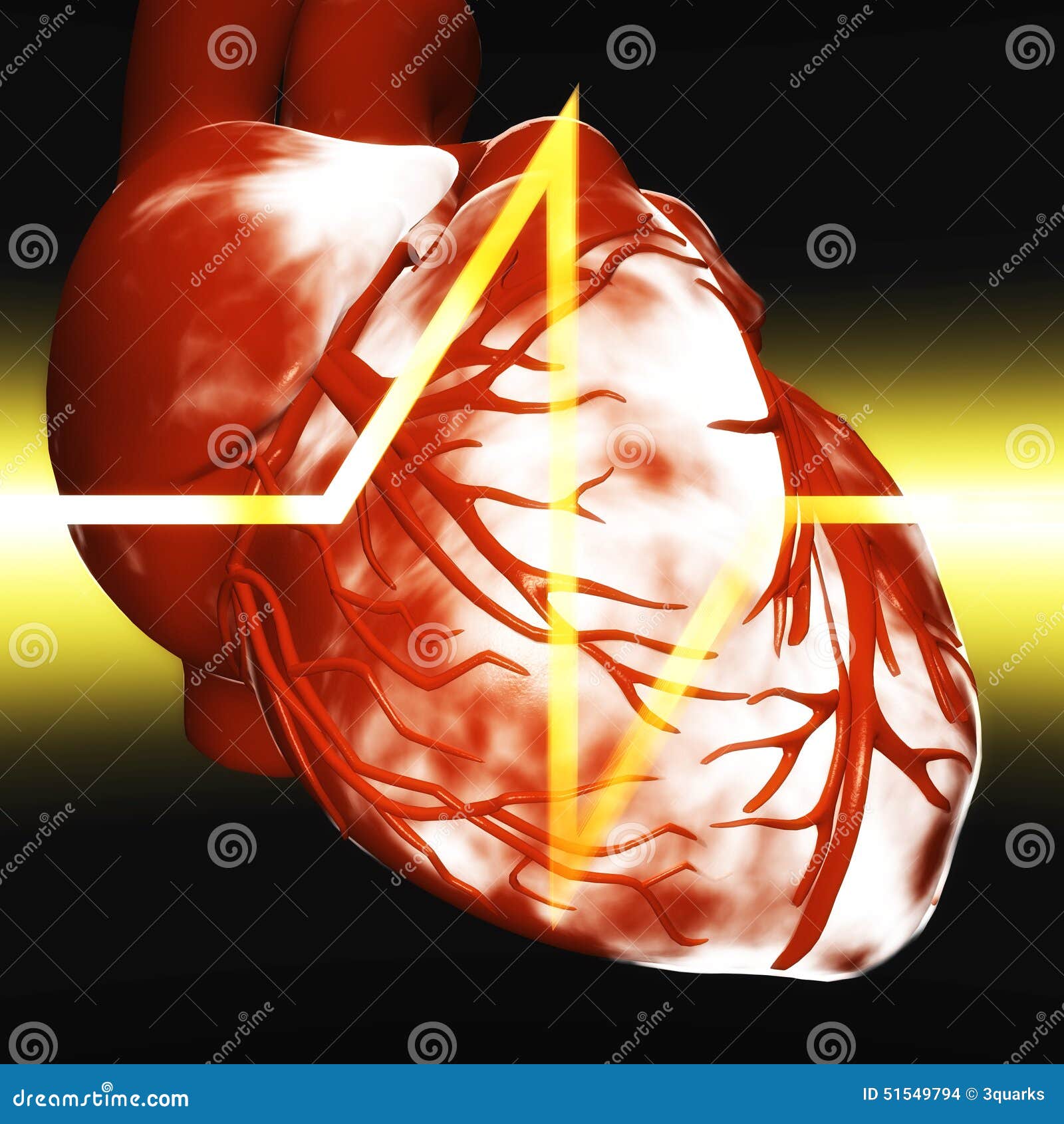 Menselijk hart stock illustratie. Illustration of medisch - 51549794