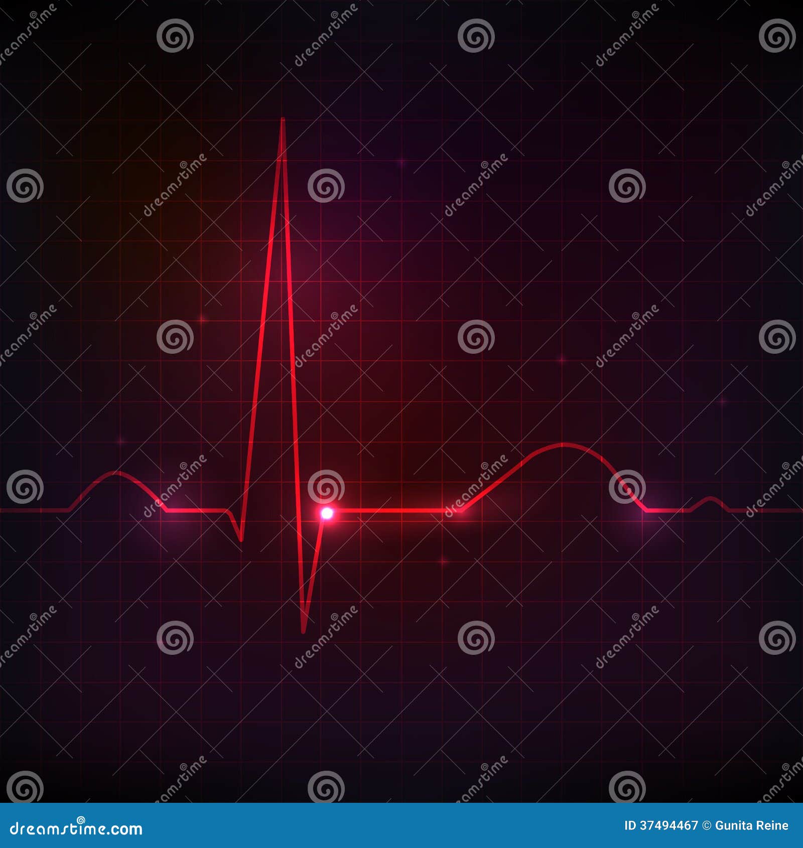 Menselijk Hartritme, Mooi Helder Ontwerp Vector Illustratie ...