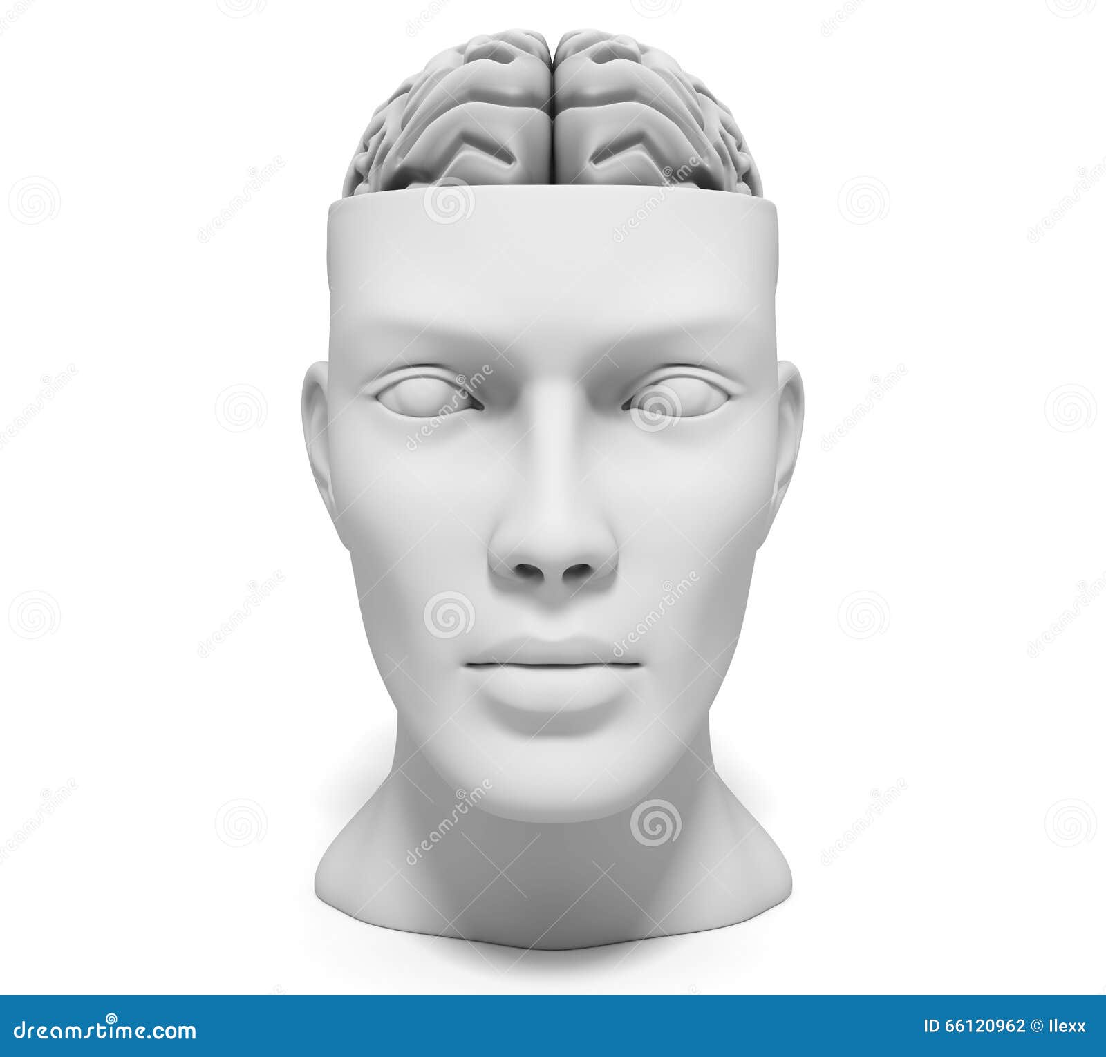 Menselijk Hoofd Met Hersenen Stock Illustratie - Illustration of ...