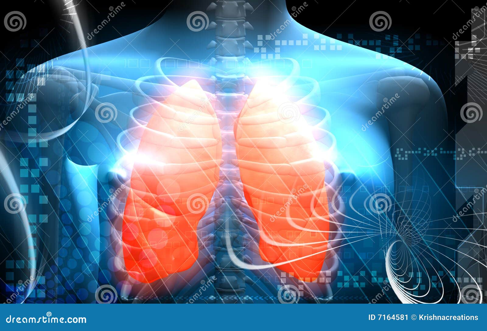 Menselijk Lichaam En Longen Stock Illustratie - Illustration of ...