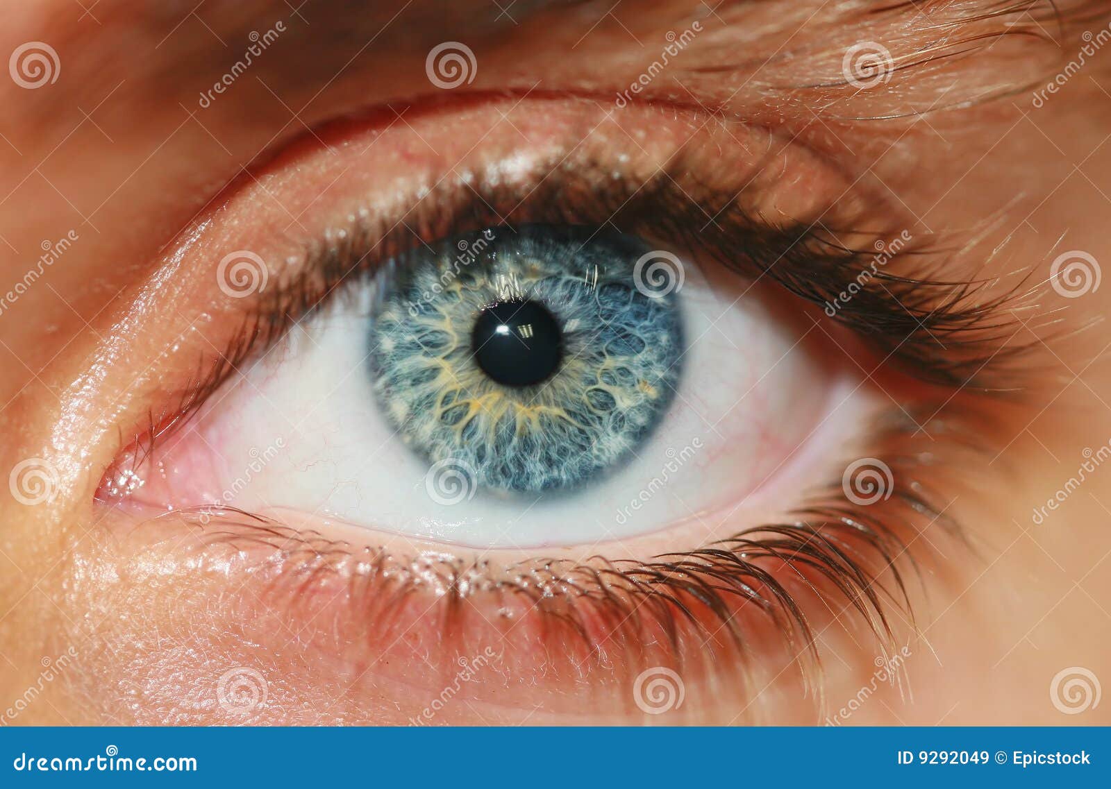 Menselijk Oog stock afbeelding. Image of verrijken, mooi - 9292049