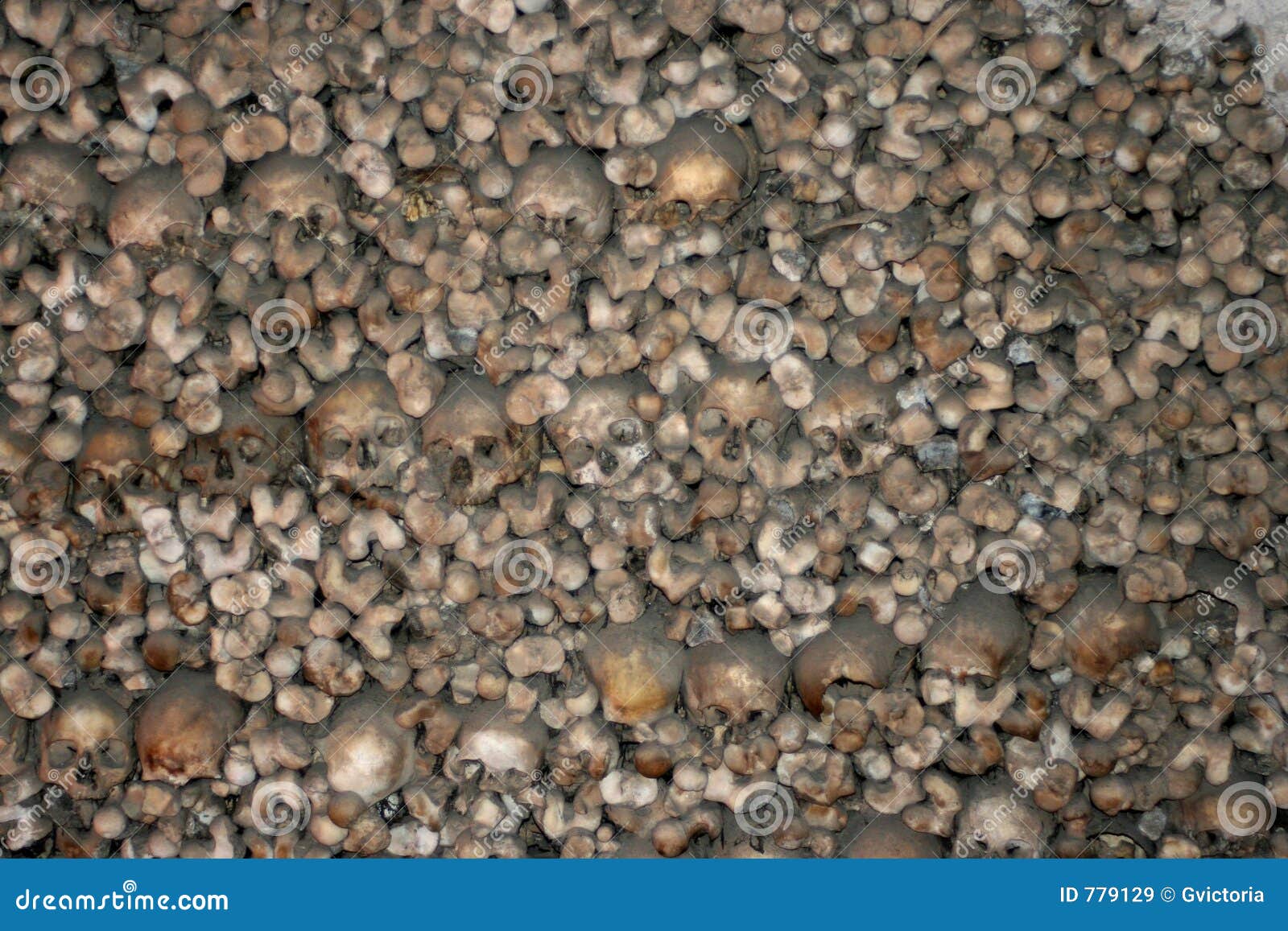 Menselijke beenderen redactionele stock afbeelding. Image of ...