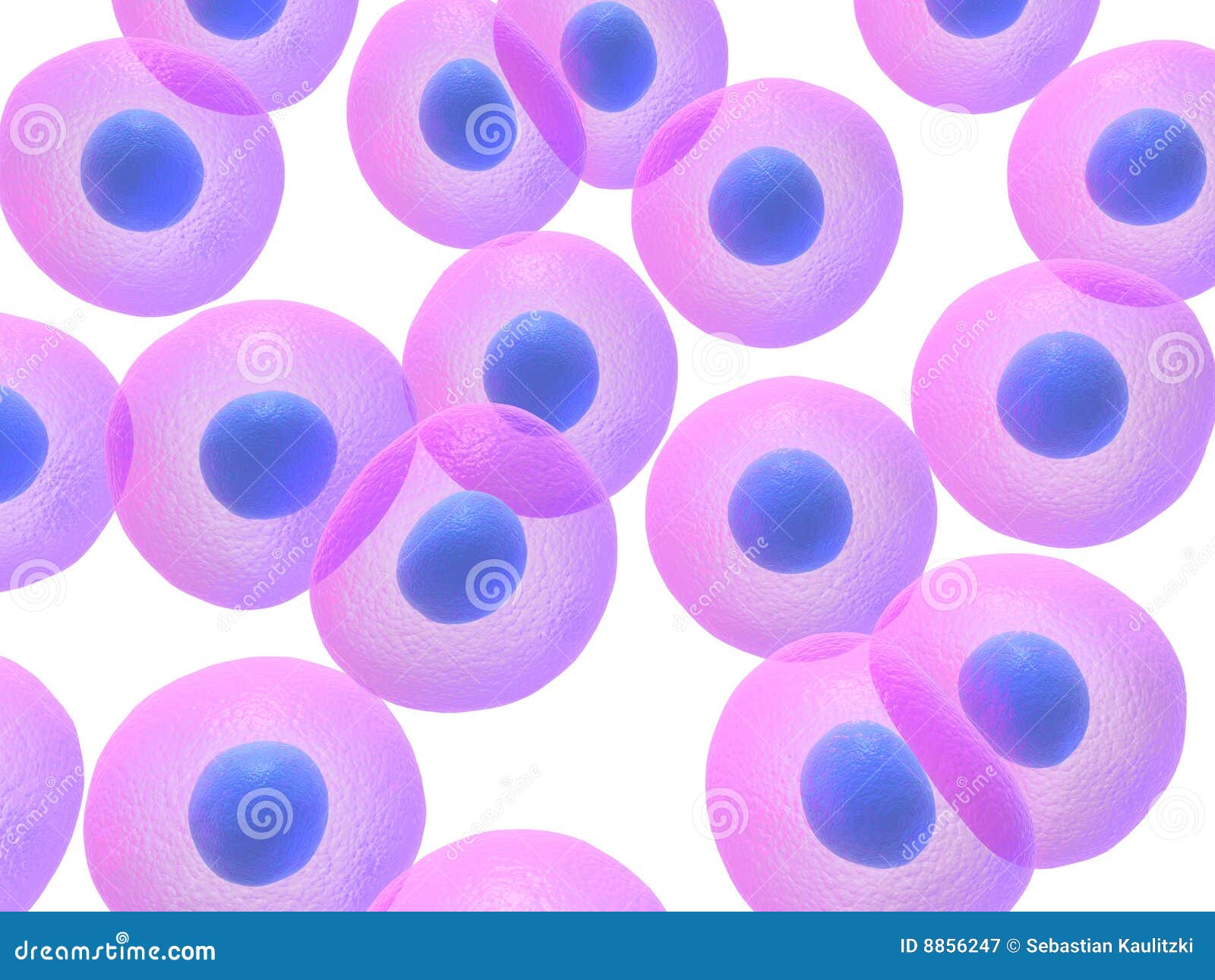 Menselijke cellen stock illustratie. Illustration of samenvatting - 8856247