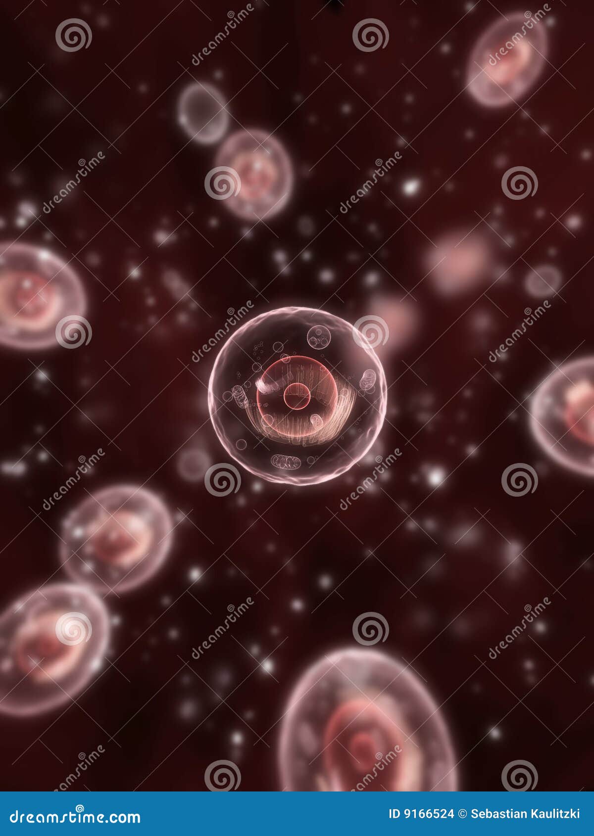 Menselijke cellen stock illustratie. Illustration of kern - 9166524