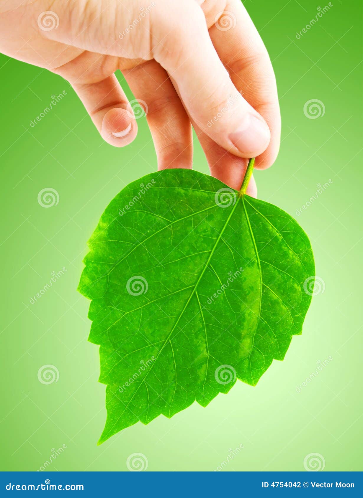 Menselijke Hand En Groen Blad Stock Foto - Image of enkelvoudig, lente ...