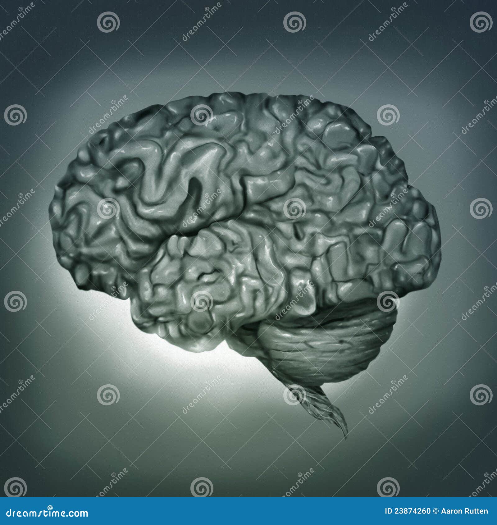 Menselijke Hersenen - Het Digitale Schilderen Stock Illustratie - Illustration of schilderij ...