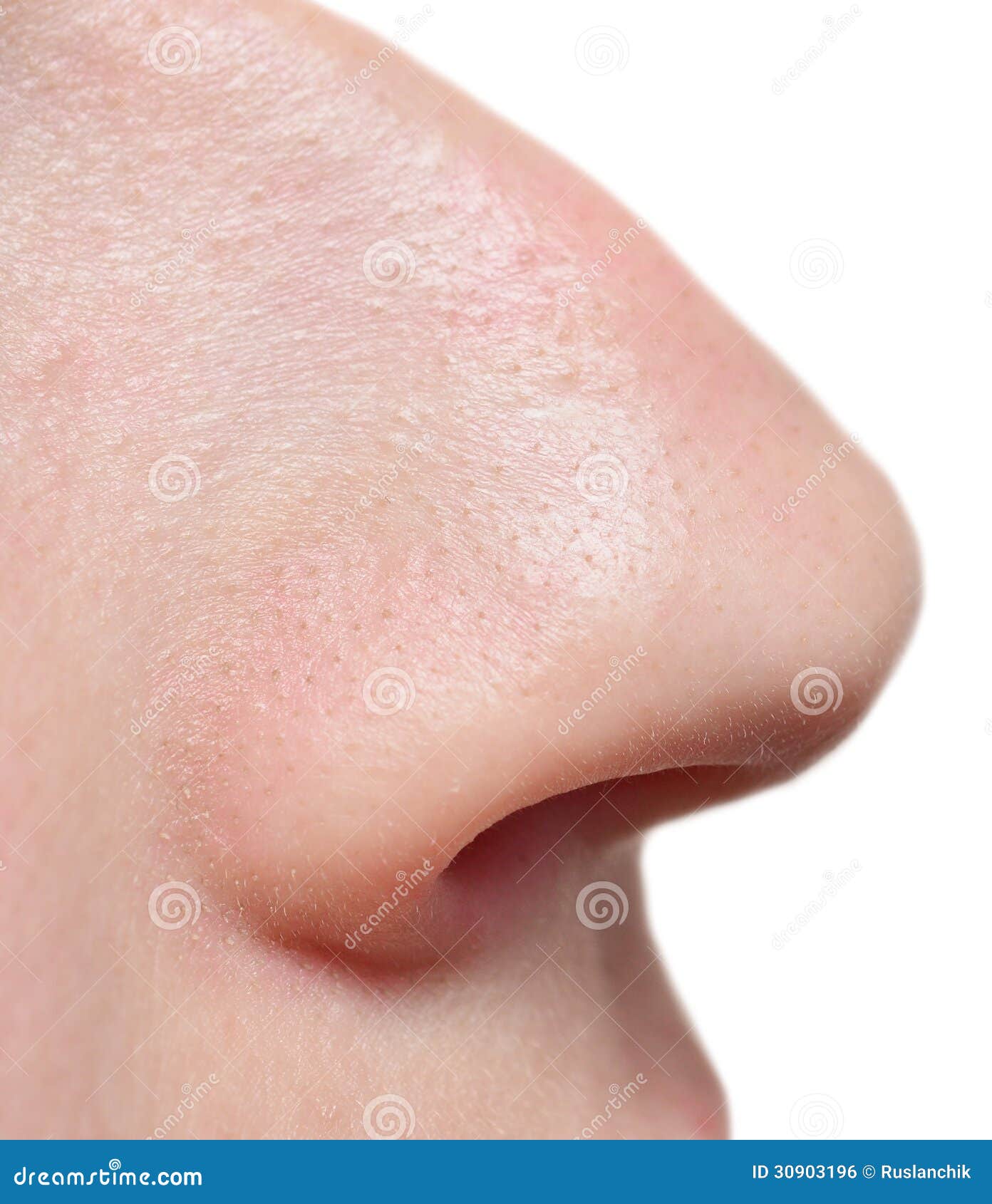 Menselijke neus stock foto. Image of gezicht, gaten, haar - 30903196