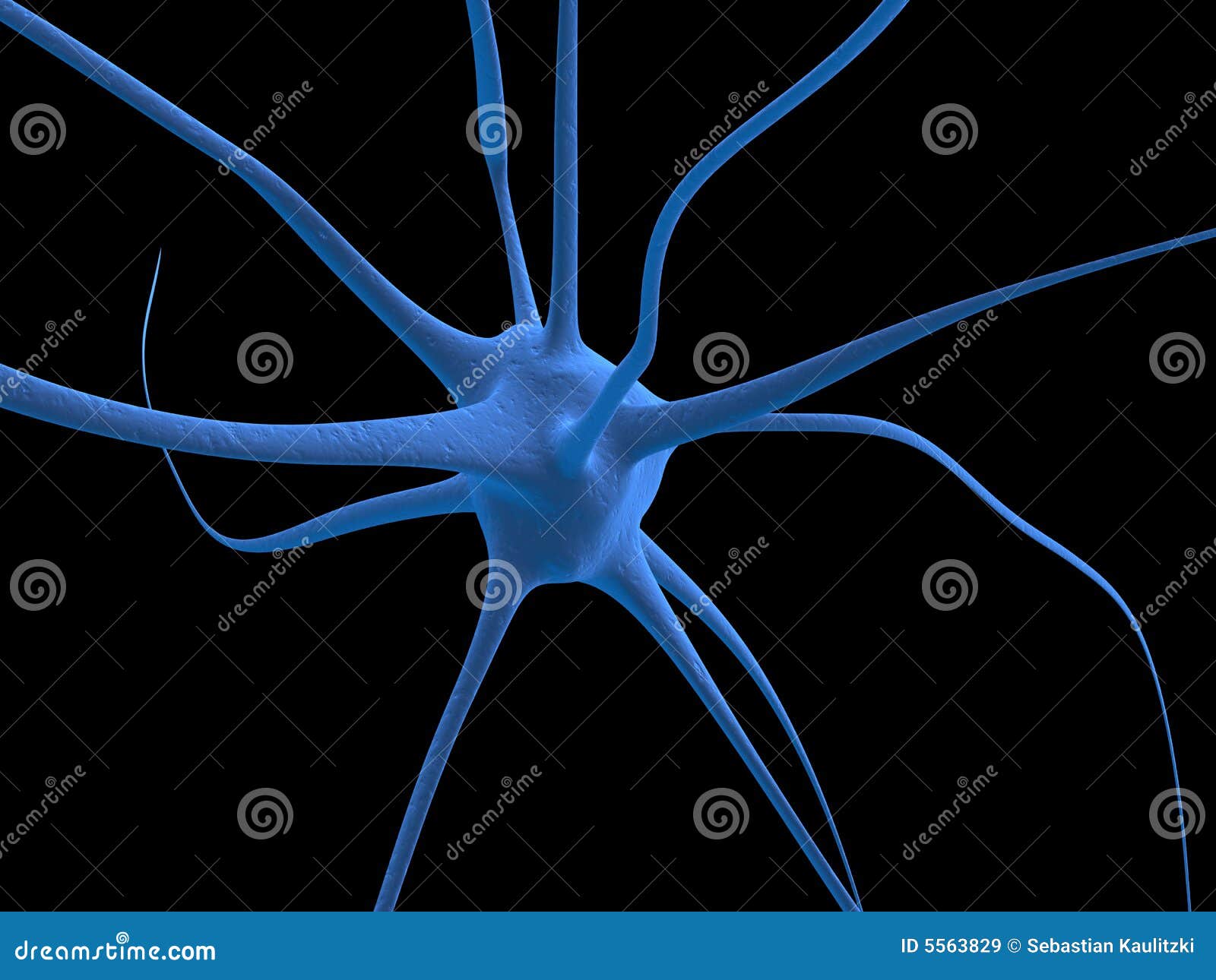 Menselijke zenuwcel stock illustratie. Illustration of biologisch - 5563829