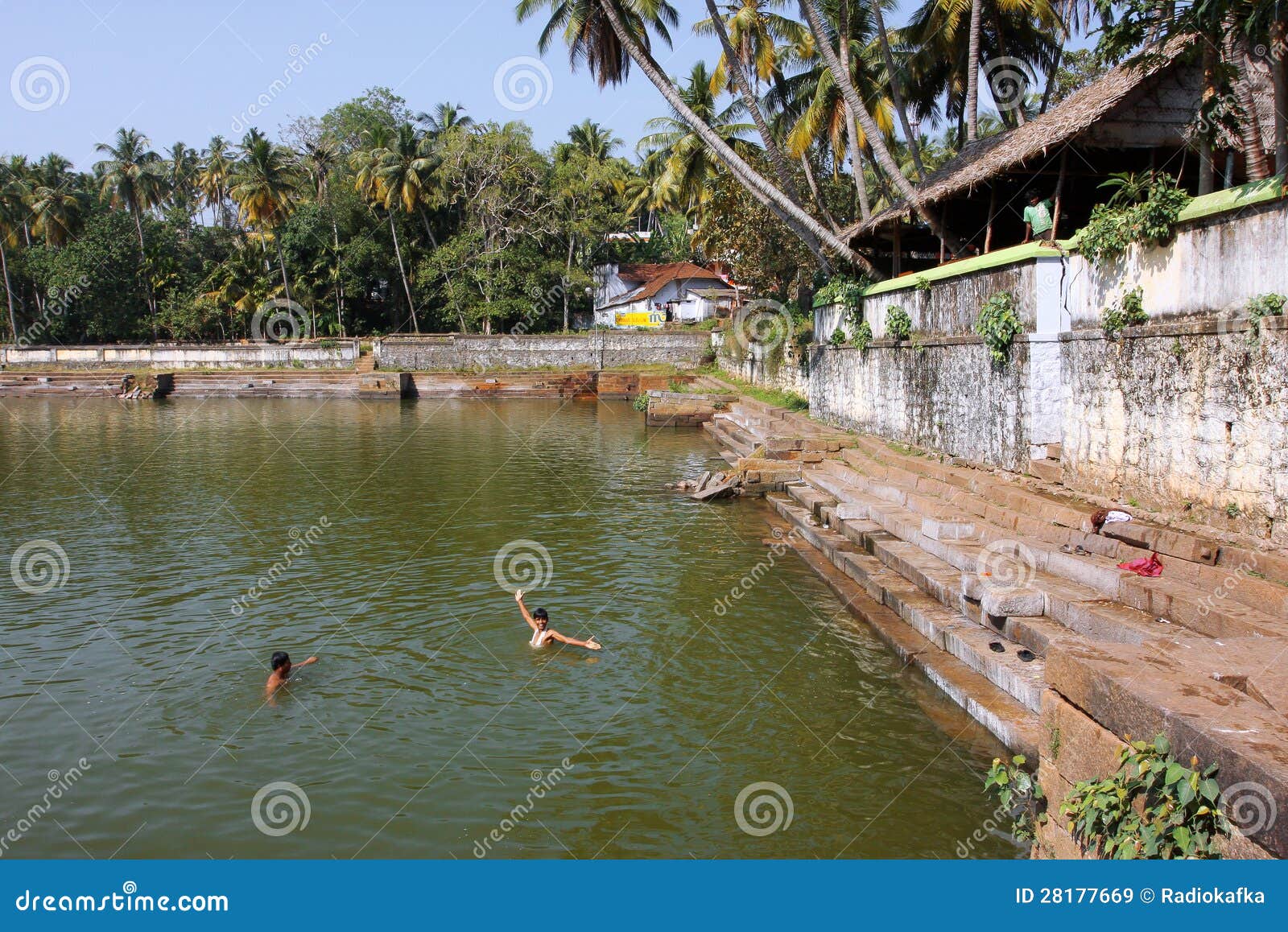 Mensen in de pool in India redactionele stock afbeelding. Image of ...