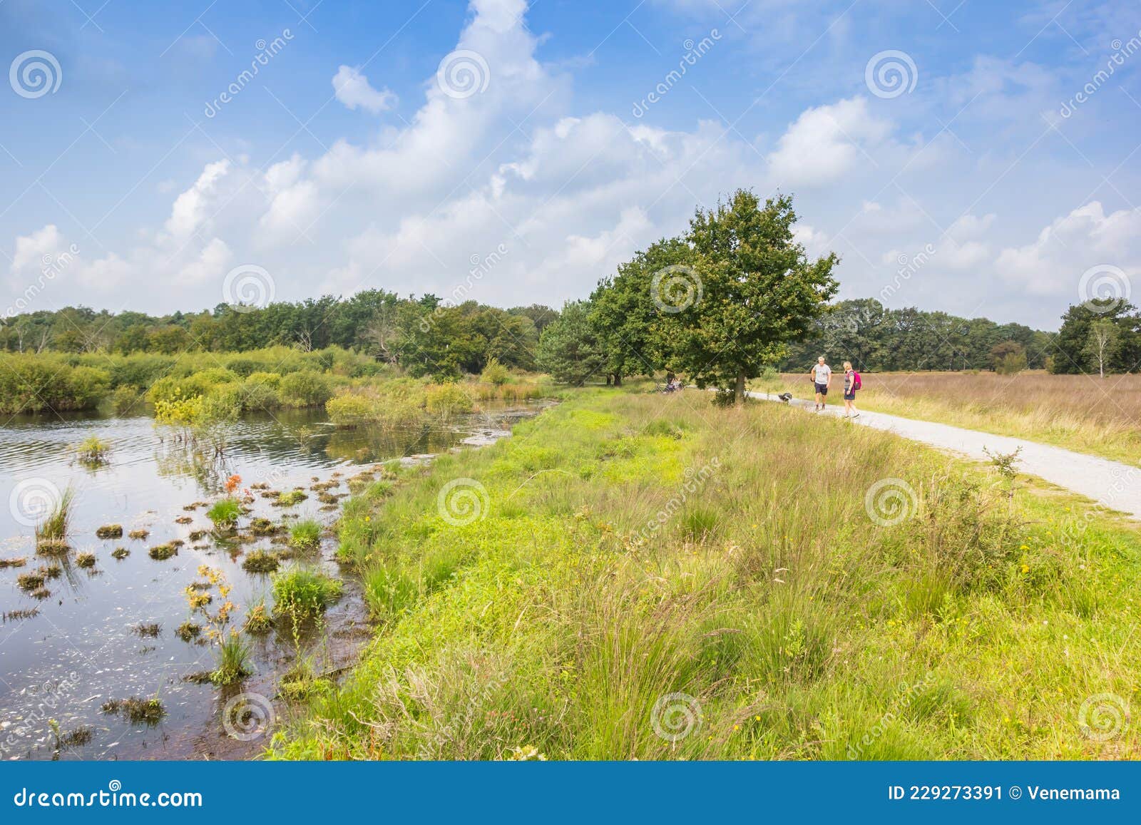 Mensen Die Langs De Pools Van Het Nationaal Park Dwing Elderveld Lopen ...