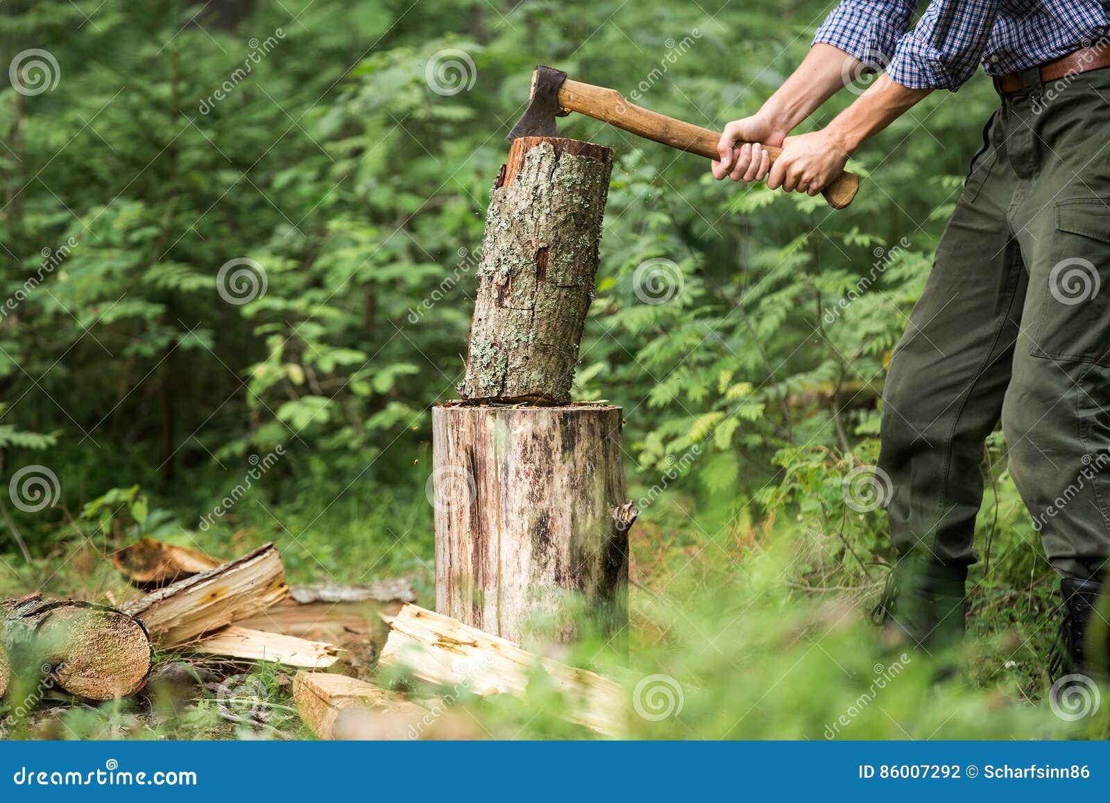 Mensen Hakkend Hout in Het Bos Stock Foto - Image of hakken, honkbal ...
