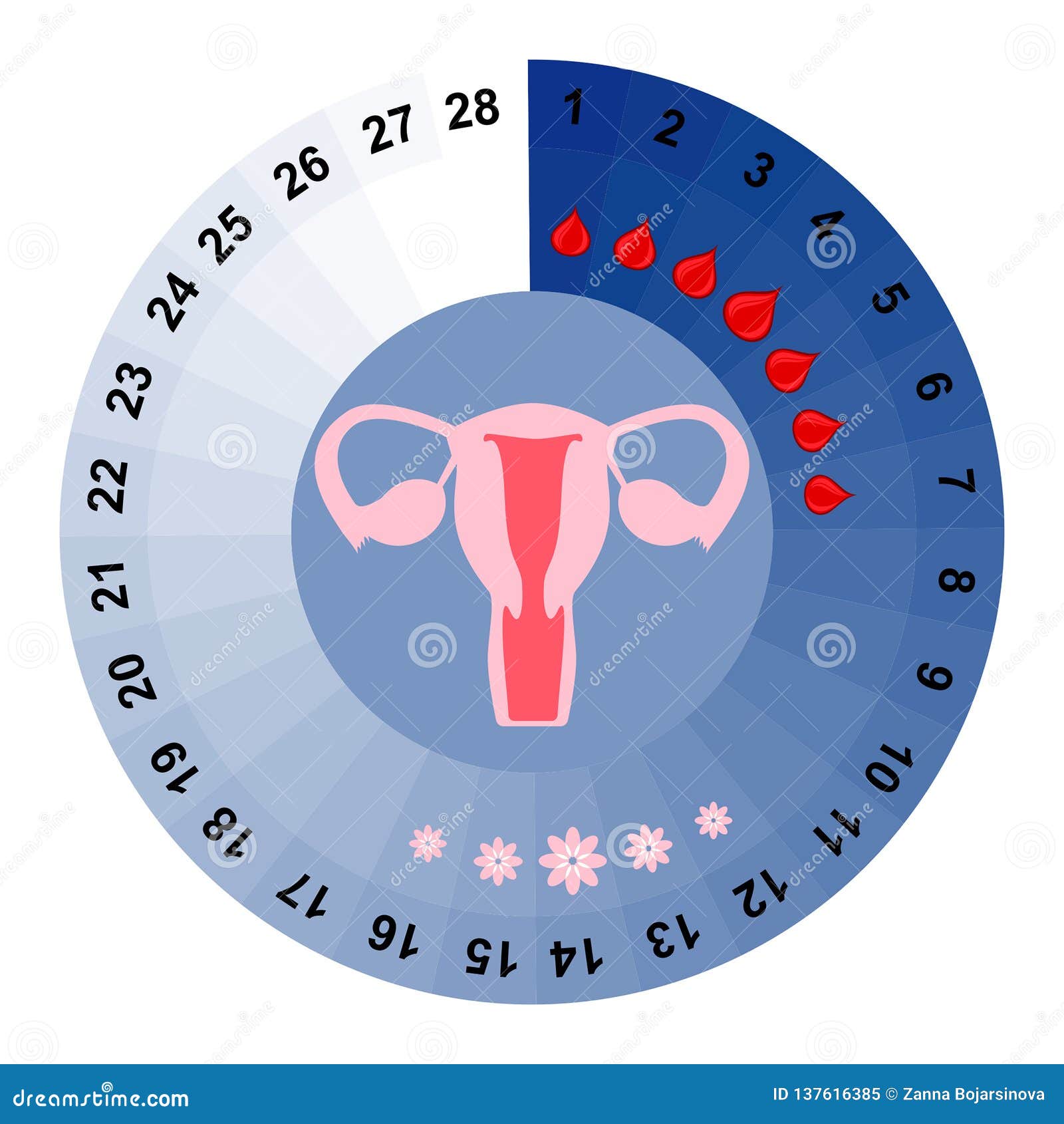 Menstruele cycluskalender vector illustratie. Illustration of ...