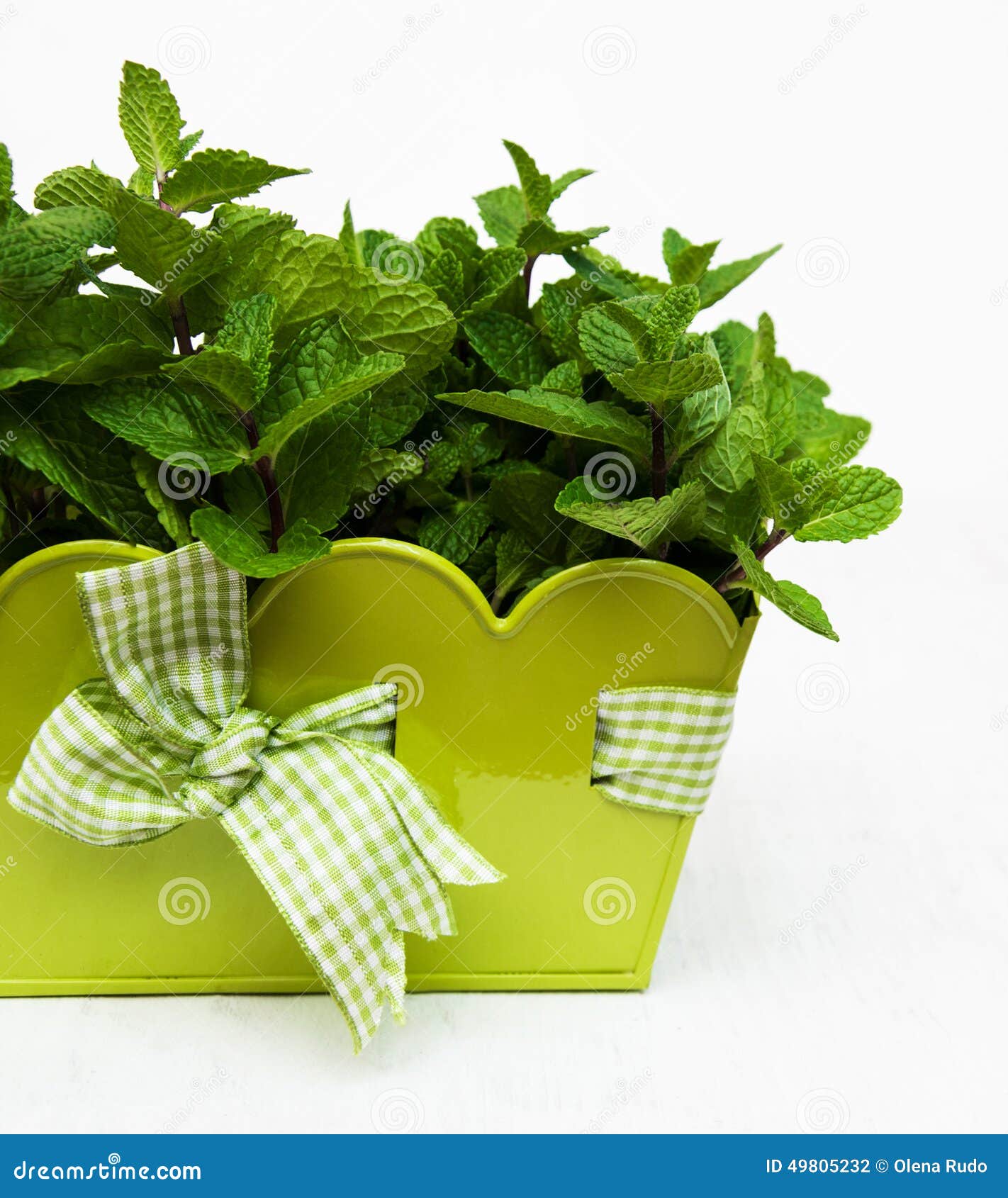 Menta en un pote del metal foto de archivo. Imagen de urbano - 49805232