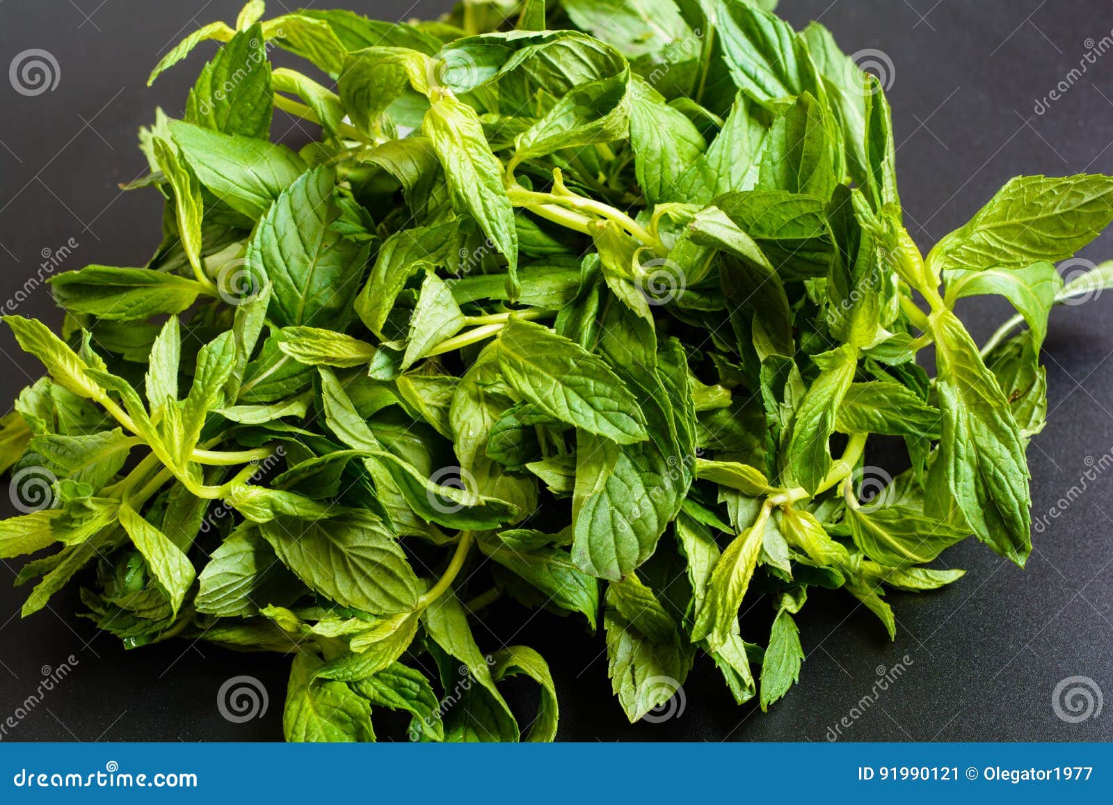 Menta verde fresca imagen de archivo. Imagen de alimento - 91990121