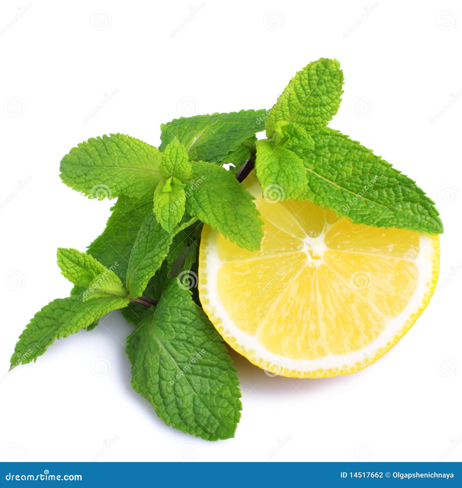 Menta y limón foto de archivo. Imagen de medicina, frescura - 14517662