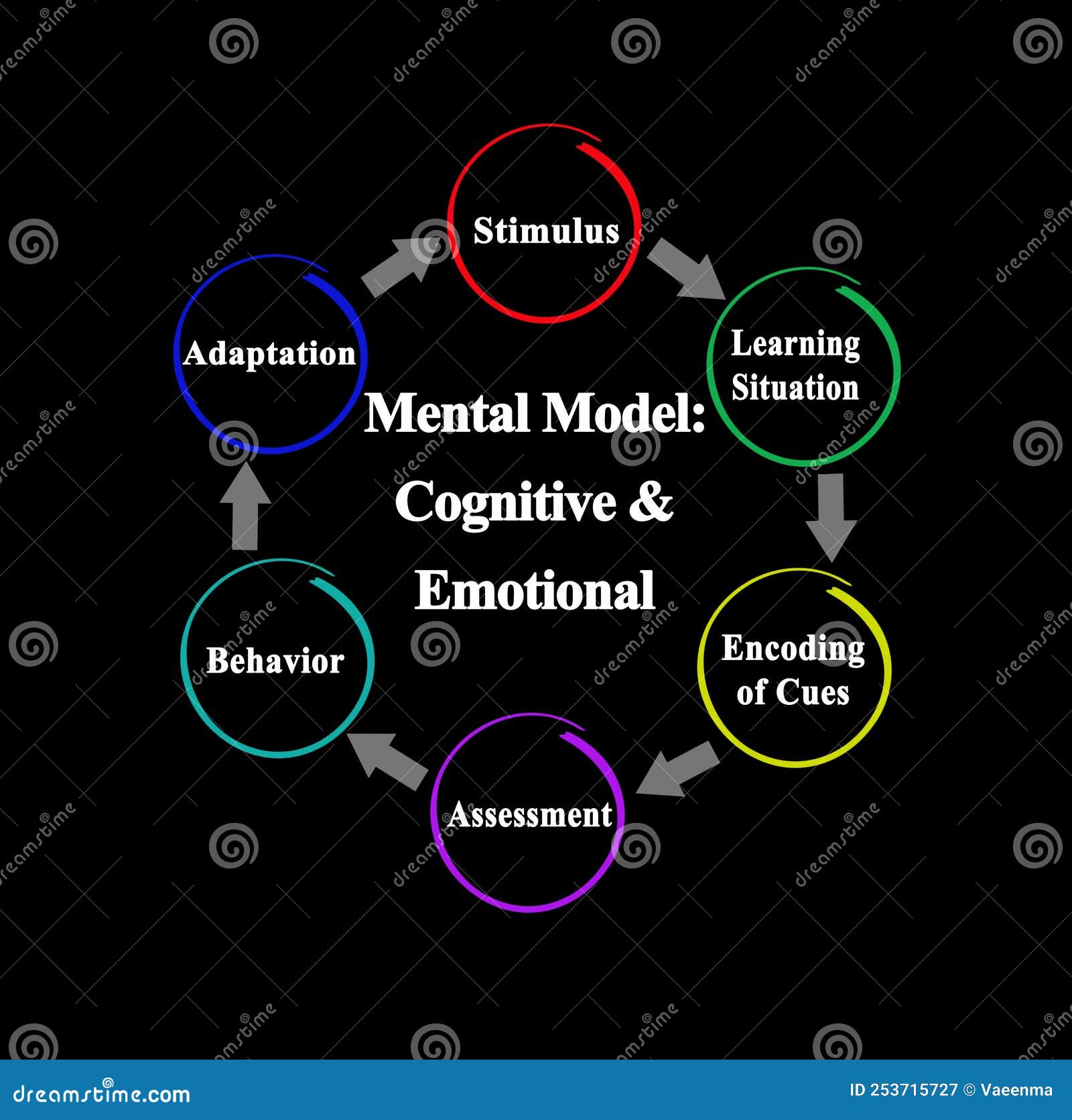 Mental Model stock illustration. Illustration of diagram - 253715727
