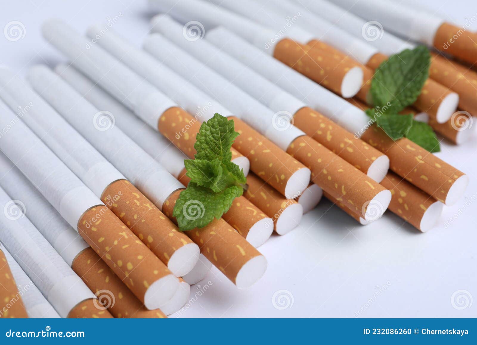 Menthol Cigarettes and Fresh Mint Leaves on White Background, Closeup ...