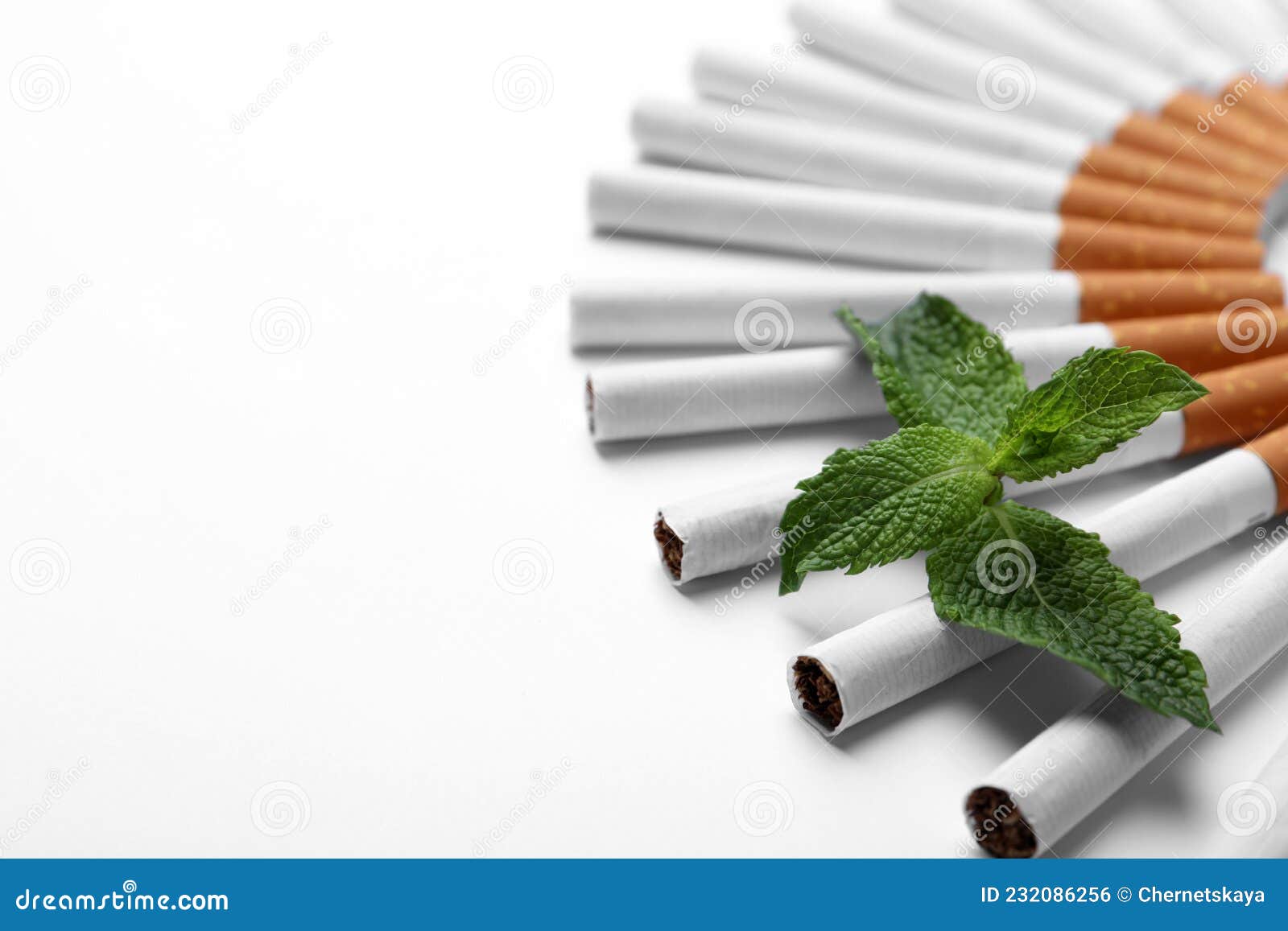 Menthol Cigarettes and Fresh Mint Leaves on White Background. Space for ...