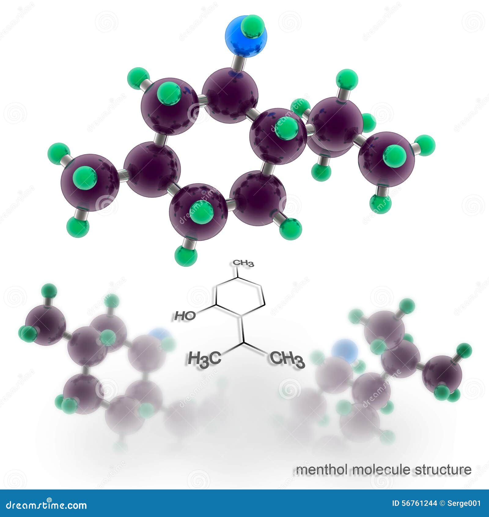 Menthol Molecule, Is Found In Peppermint And Spearmint. It Gives A ...