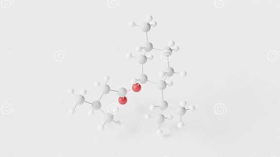 Menthyl Isovalerate Molecule 3d, Molecular Structure, Ball and Stick ...