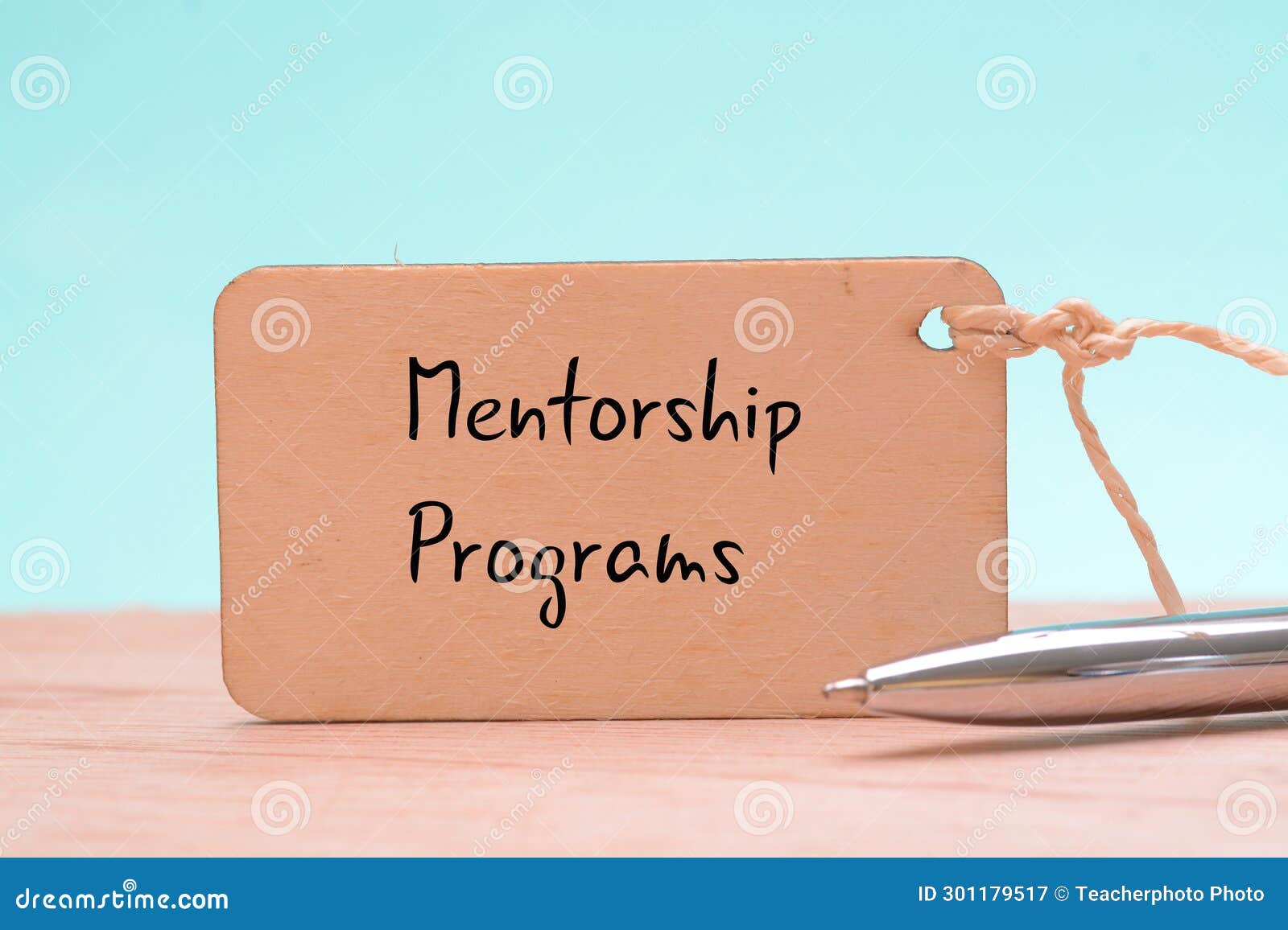 Mentorship Programs are Structured Initiatives Designed To Foster ...