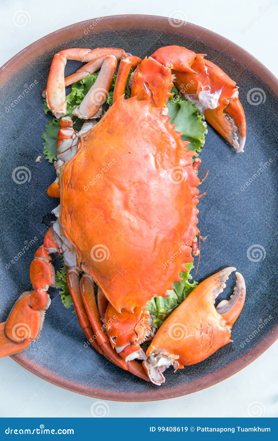Thaimenu Queen Crab stock image. Image of cuisine, menu - 99408619