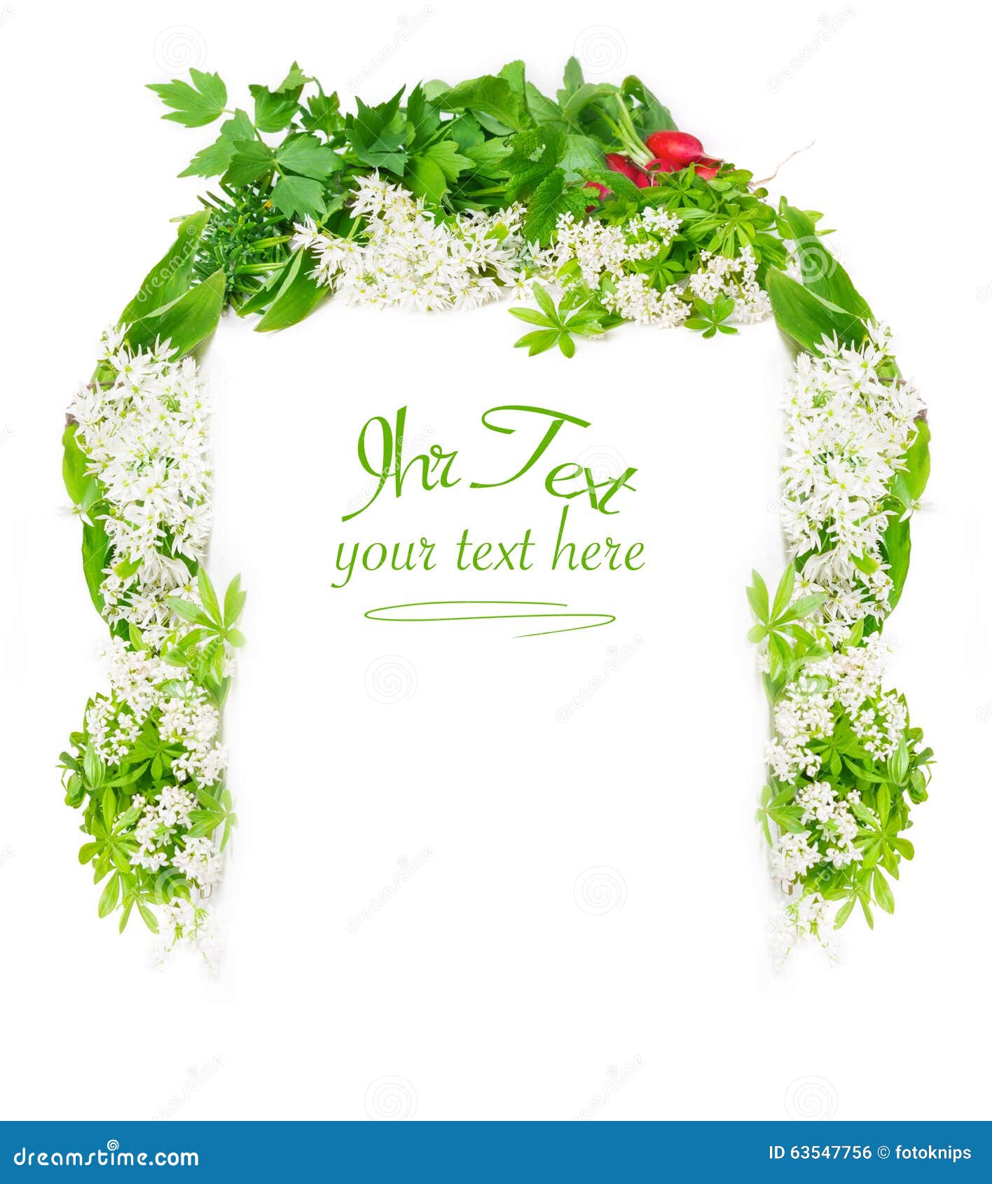 Menu, spring herbs stock photo. Image of herbal, background - 63547756