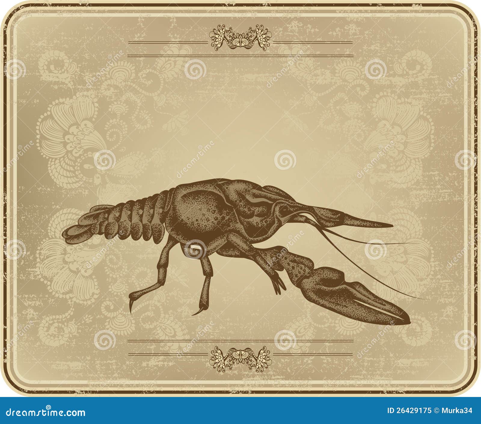 Crayfish Hand Drawing. Vector Illustration. | CartoonDealer.com #23769940