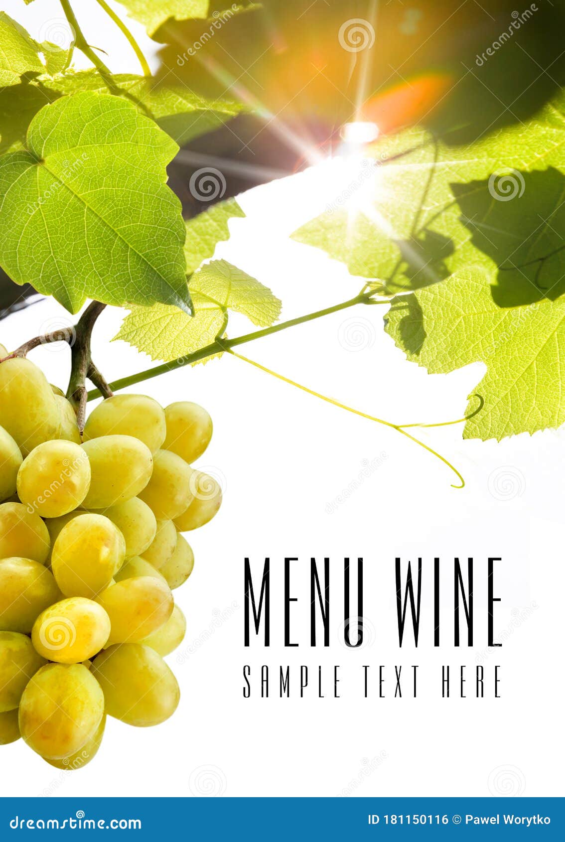 Menu Wine Design - Isolated Text Stock Photo - Image of grow ...