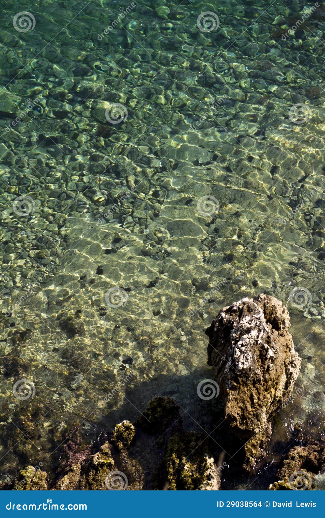 Mer claire par le littoral photo stock. Image du miroitements - 29038564