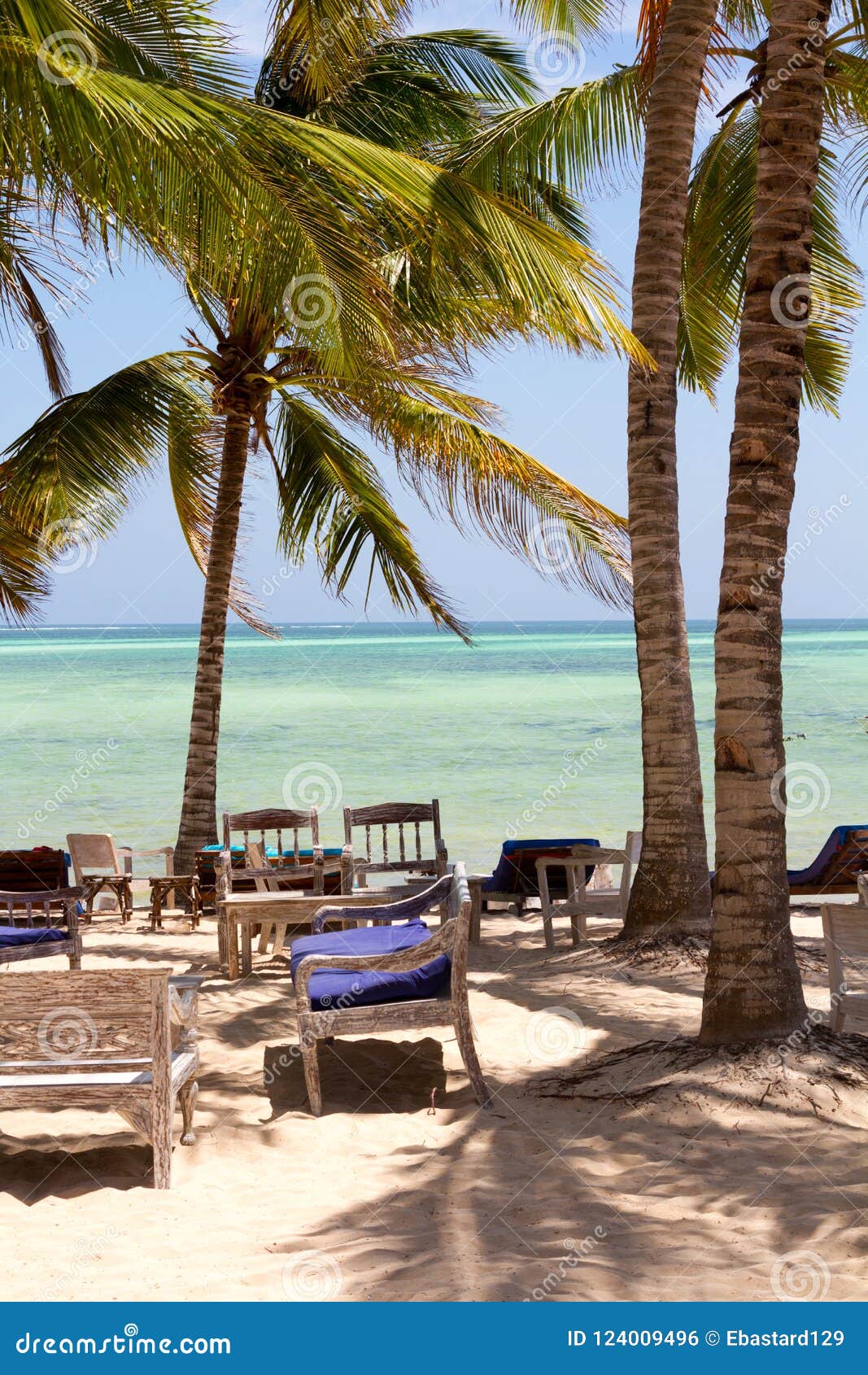 Mer de cocotier de plage photo stock. Image du coconut - 124009496