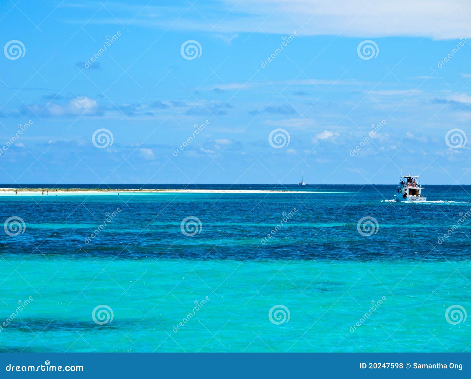 Mer Des Caraïbes - Cayo Largo, Le Cuba Photo stock - Image du paume ...